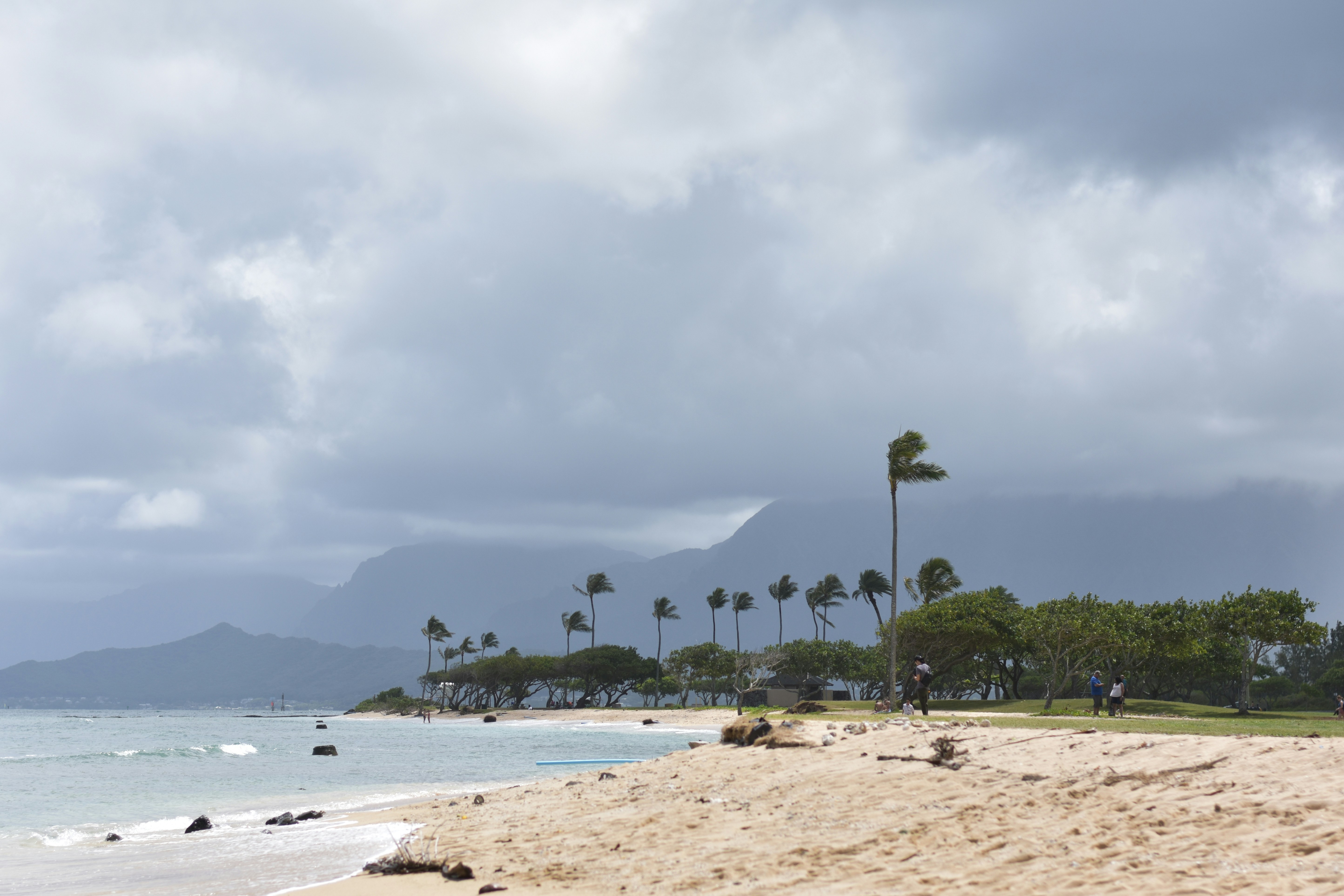 Hawaii Beach Pictures | Download Free Images on Unsplash