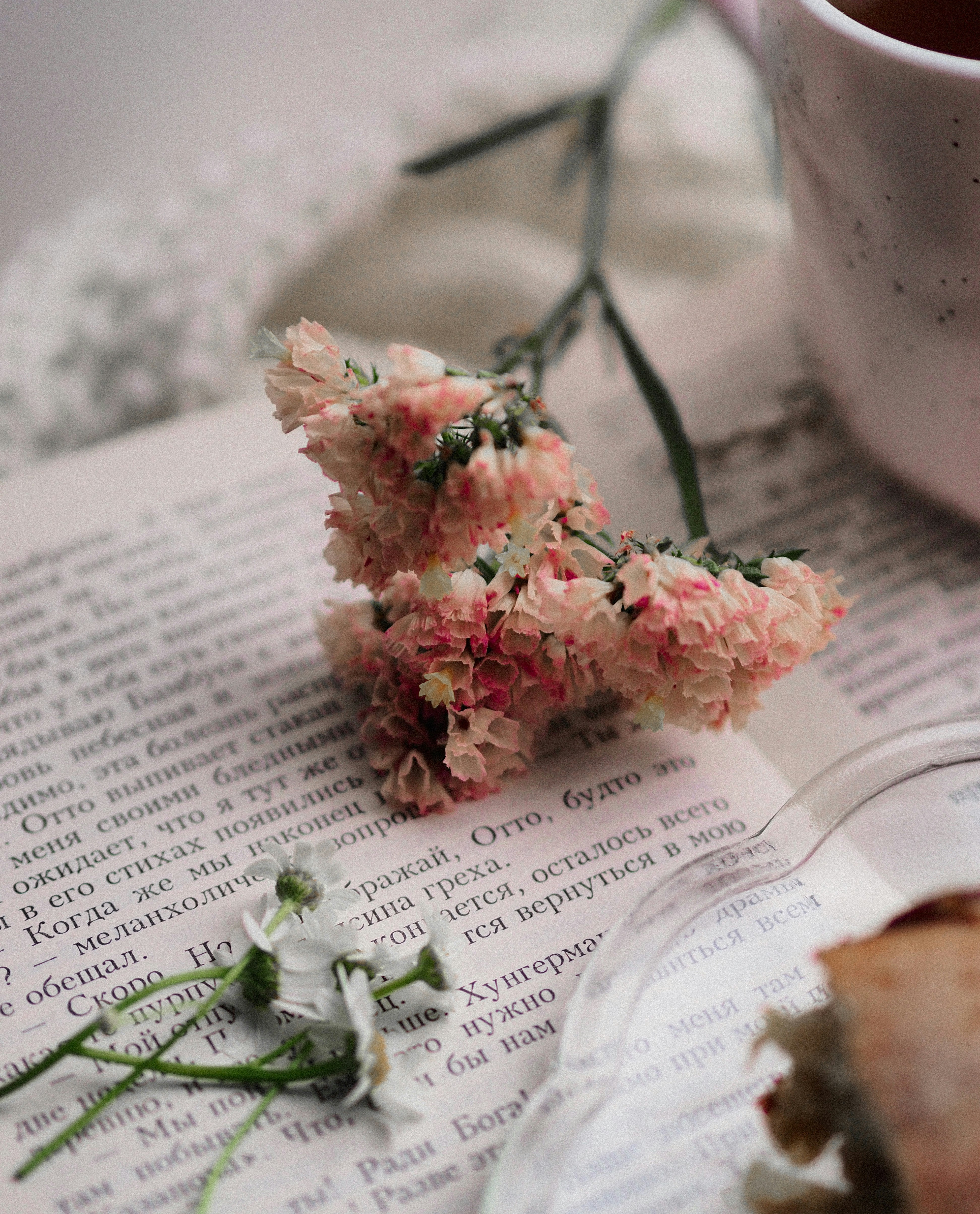 Soft-focus photograph of dried pink flowers resting on a printed page, with a porcelain cup nearby.