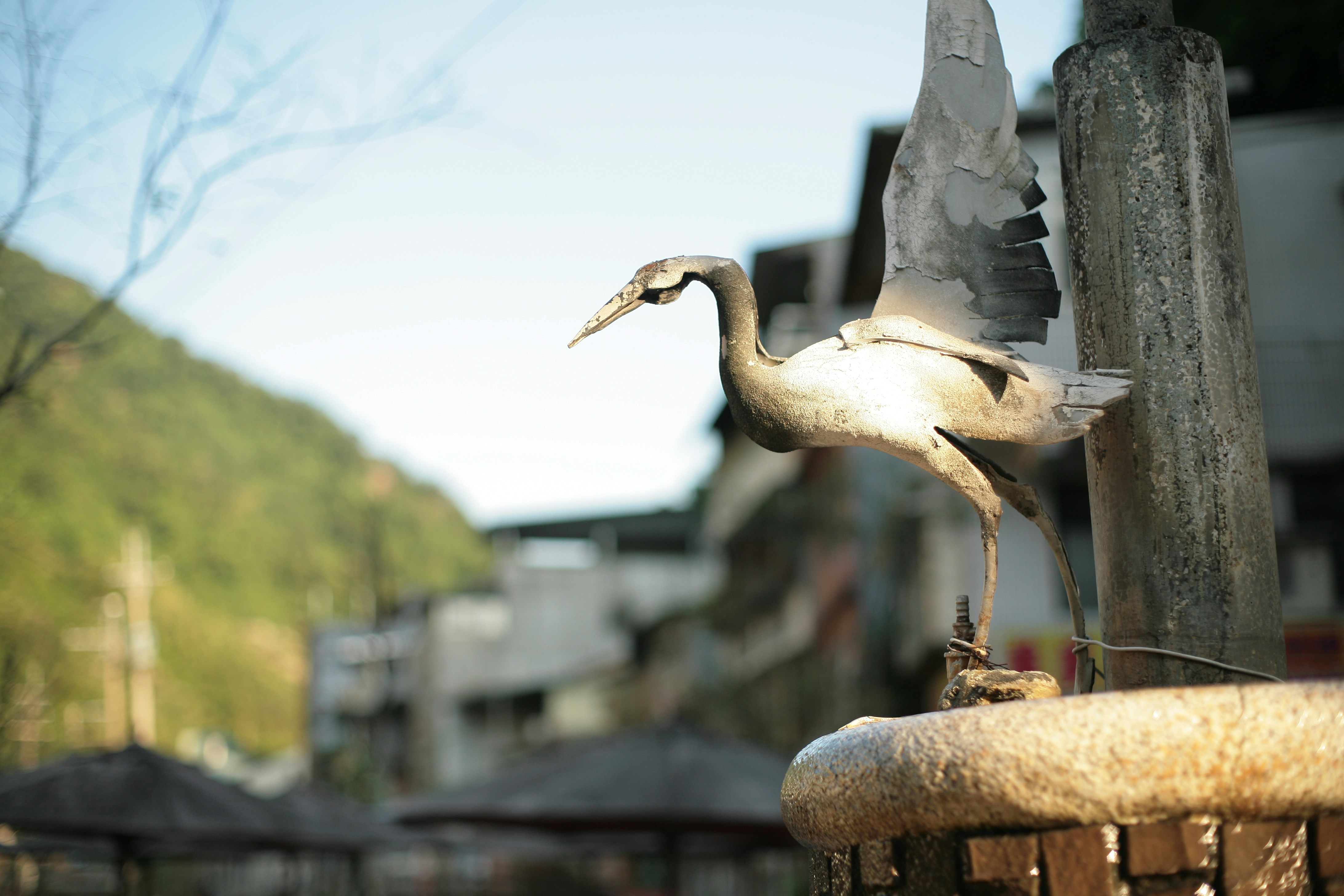 white bird on brown rock during daytime