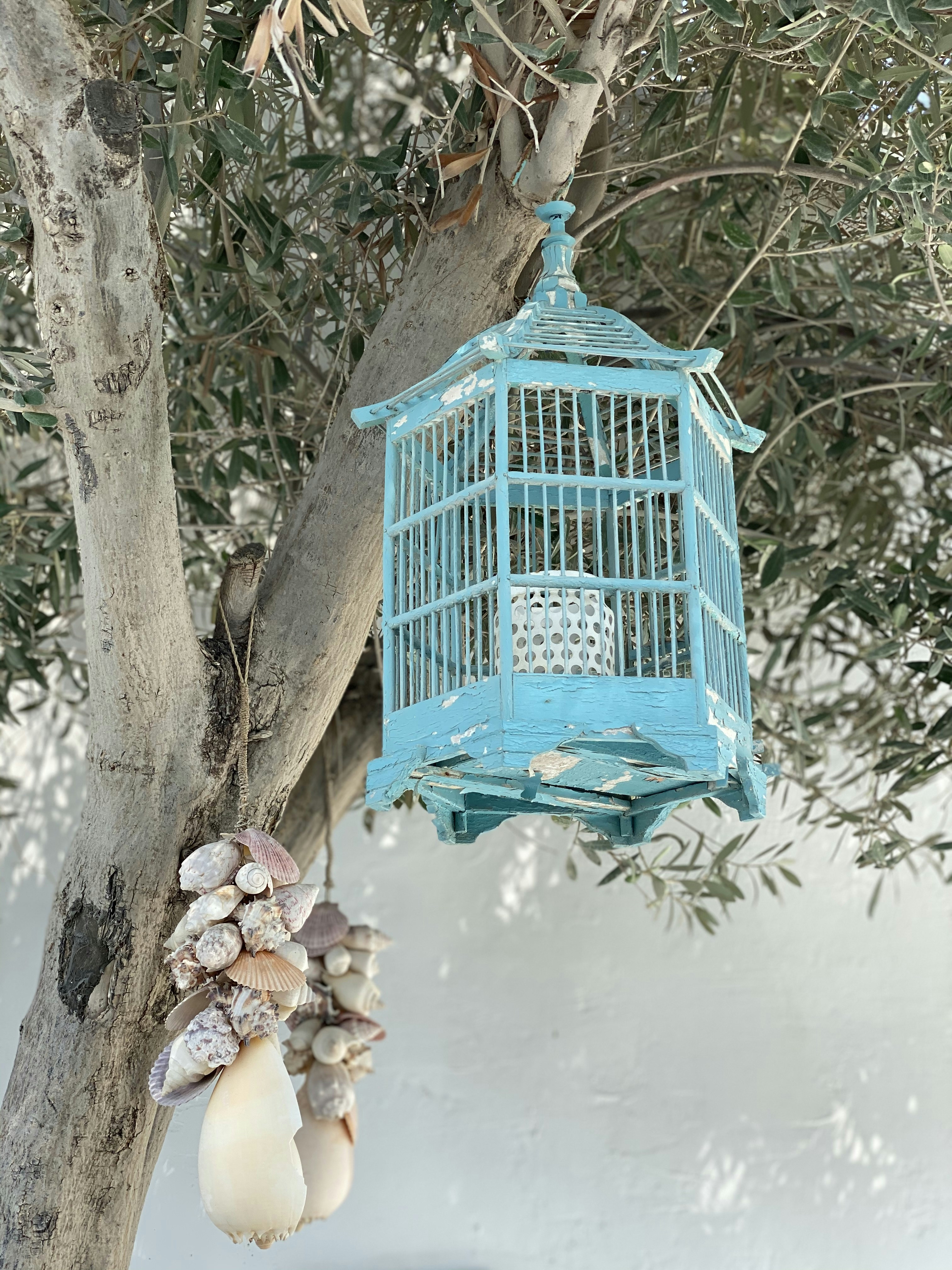 A vintage blue lantern hangs from a tree, surrounded by a cluster of seashells. The scene captures a serene coastal vibe.