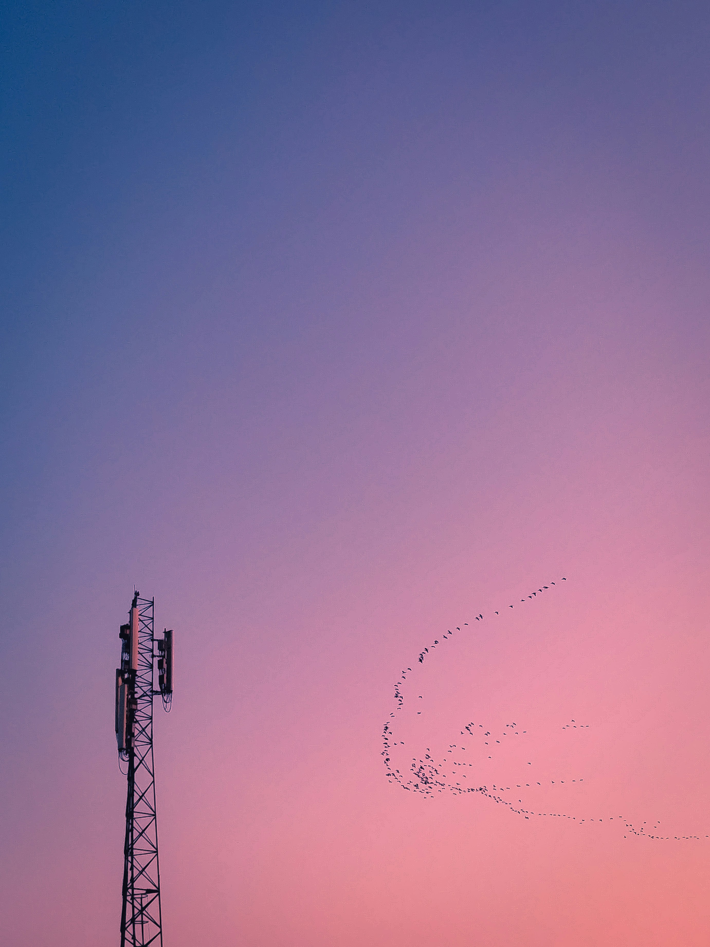 A cellular tower silhouetted against a gradient sky, with a flock of birds flying in formation, creating a serene contrast between man-made and natural elements.