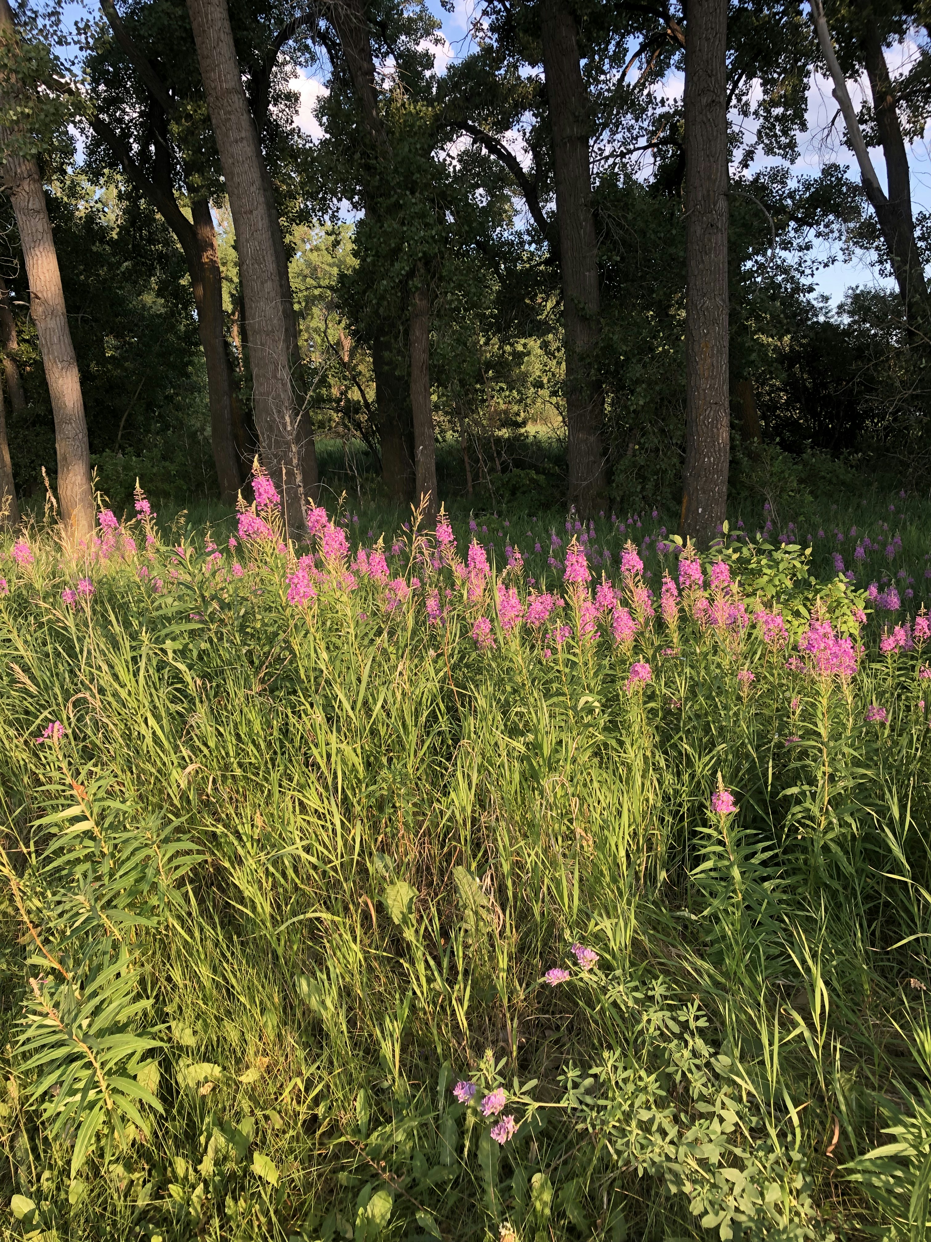 Ava Salt (@ava_salt) | Komunitas Foto Unsplash