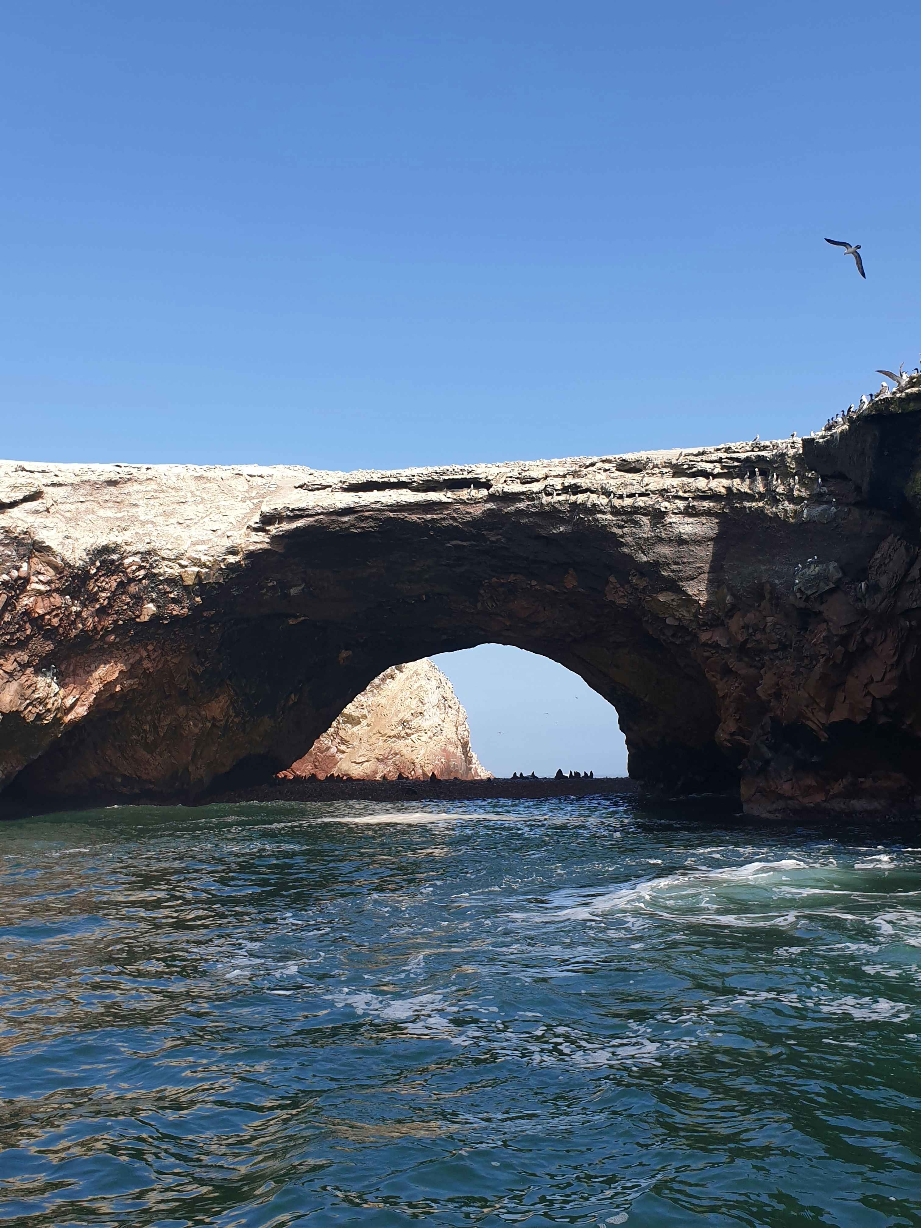 Brown rock formation on sea during daytime photo – Free Isole ballestas ...