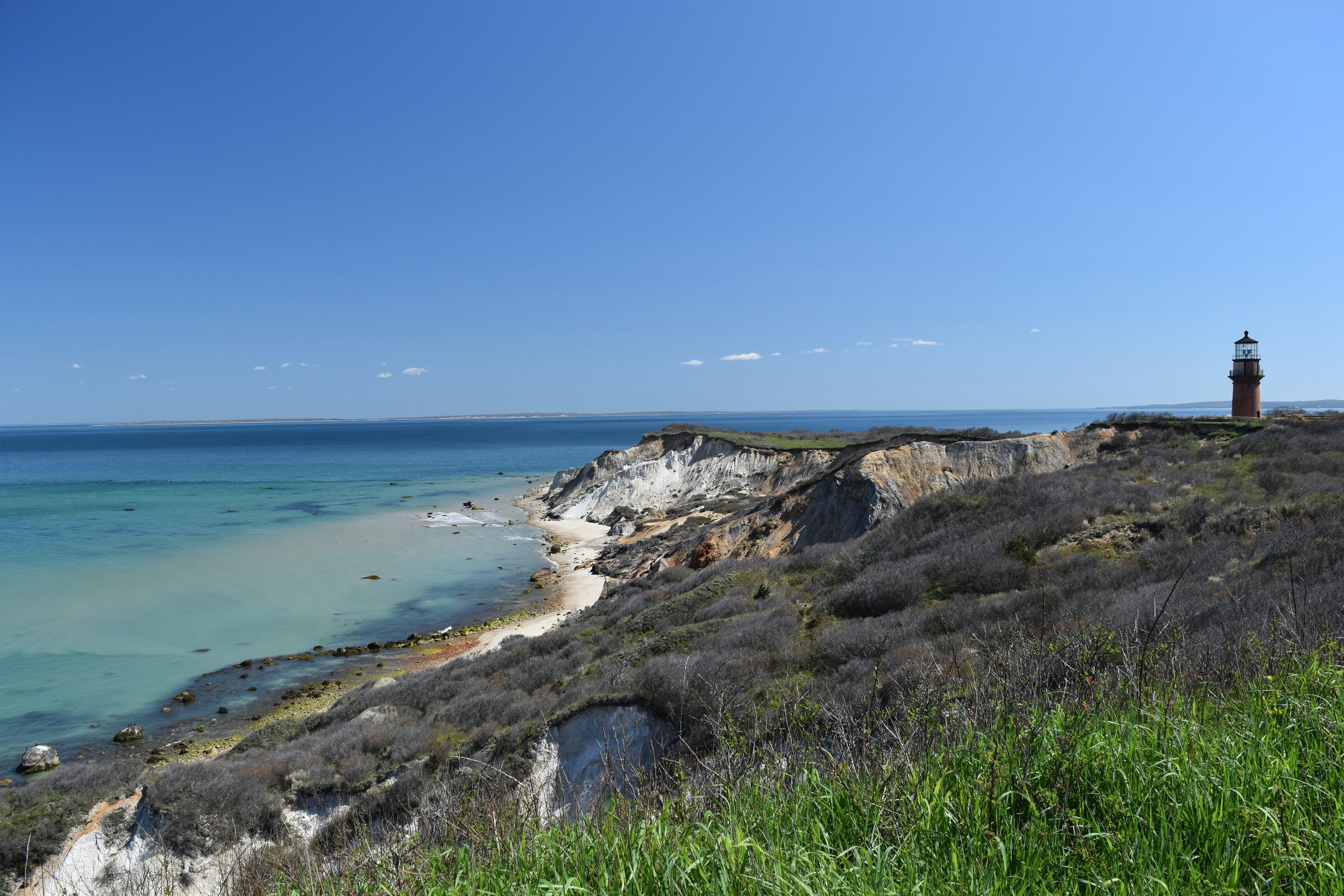 Green grass field near sea during daytime photo – Free Marine Image on ...