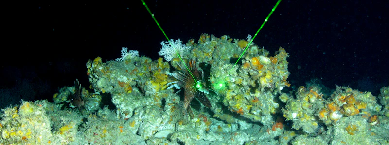 Protecting Coral Reefs Protecting Coral Reefs