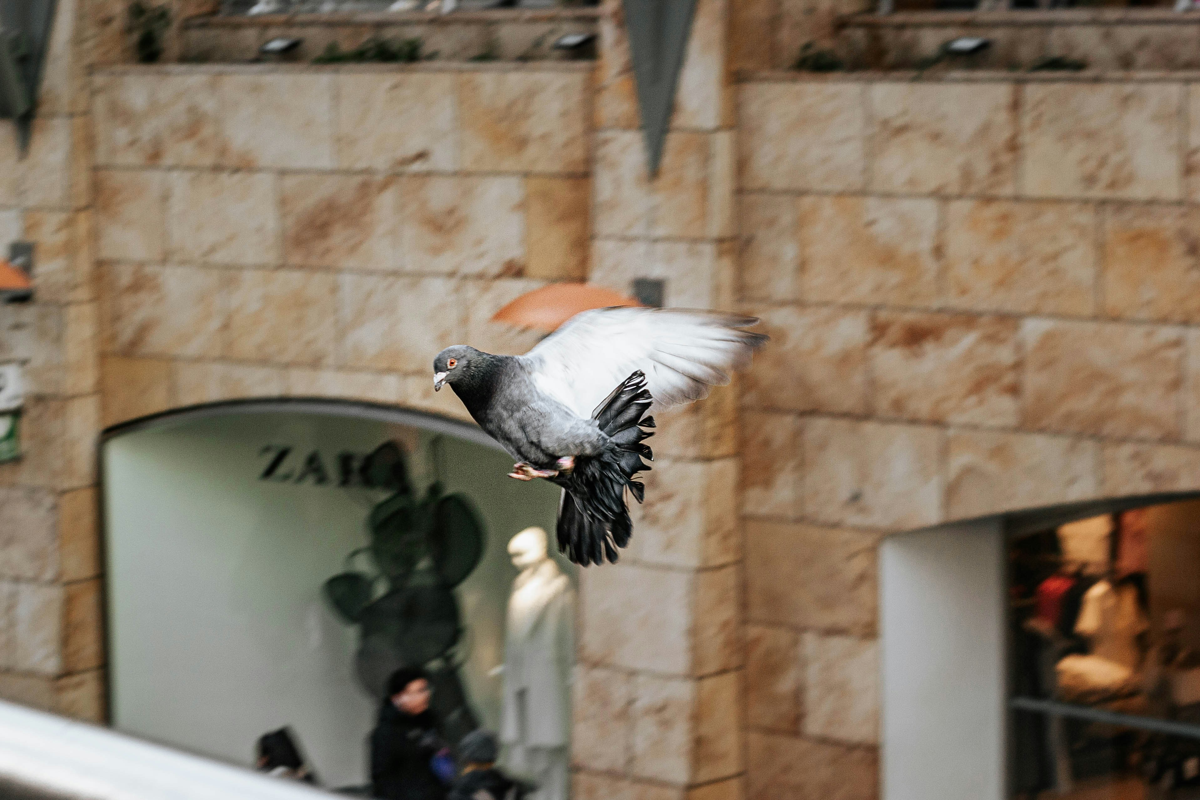 Mid-Flight Messenger Over Marble Atrium