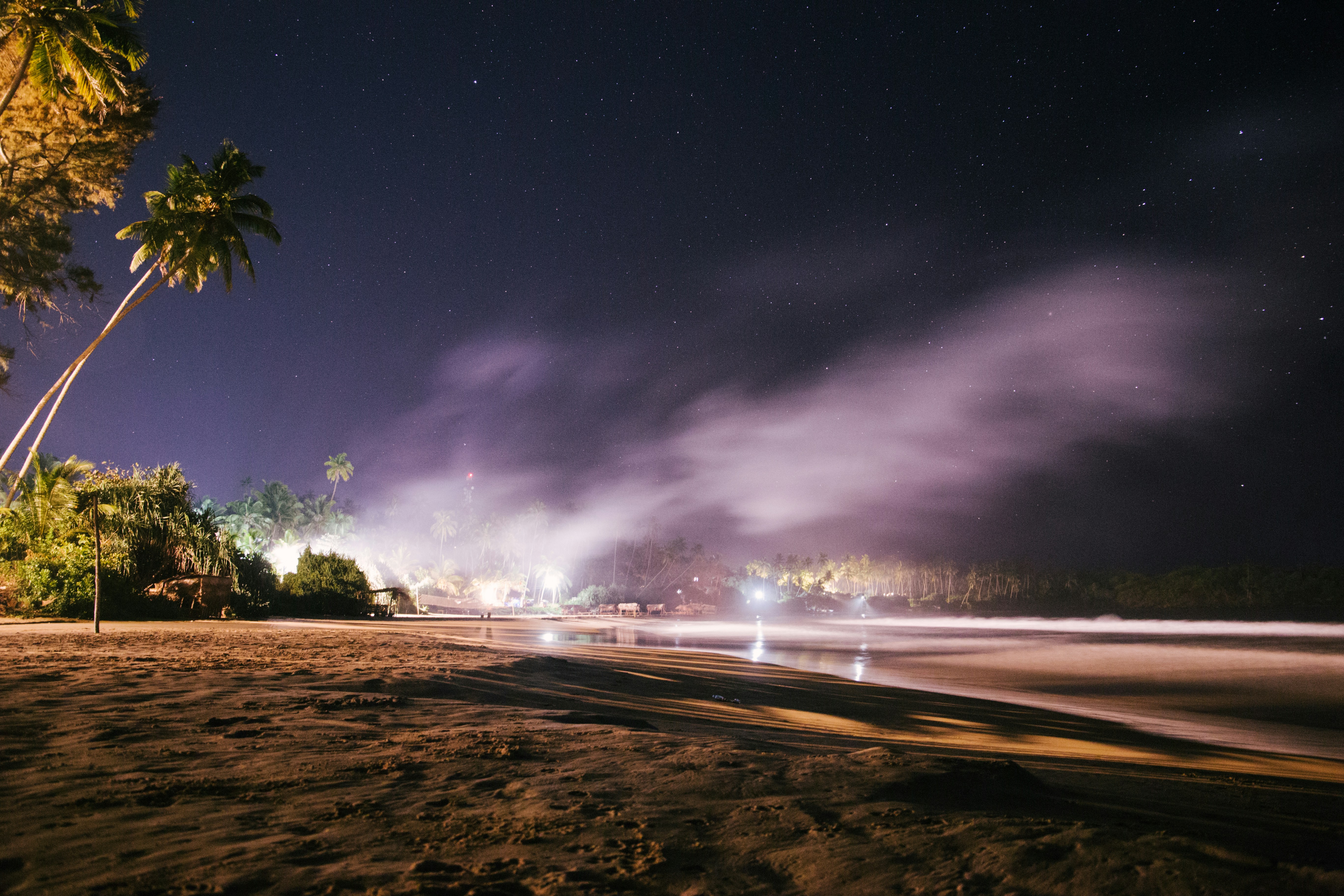 Luminous Horizon: Palm Silhouettes Beneath a Starry Night and Light Trails