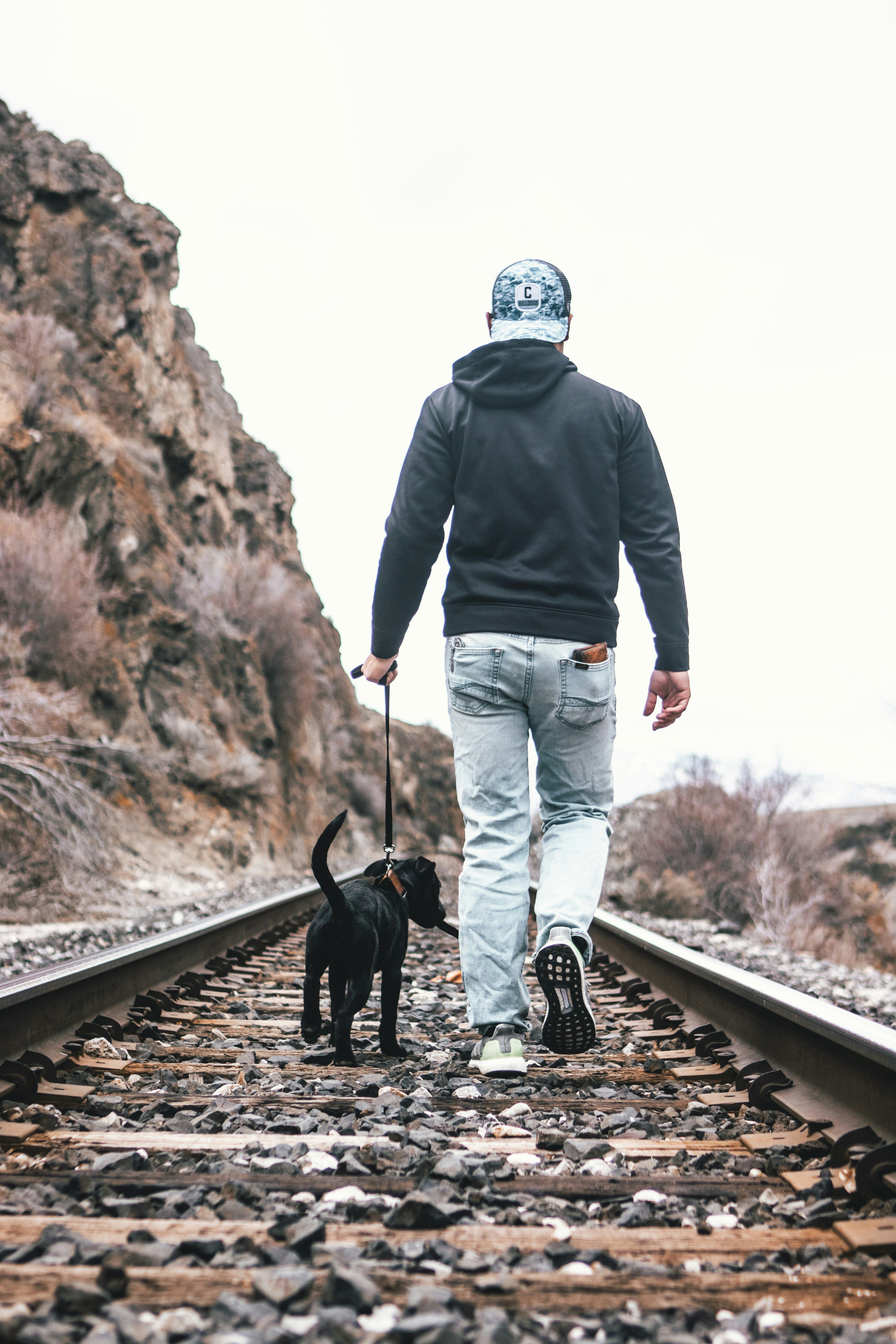 On Track with a Loyal Companion