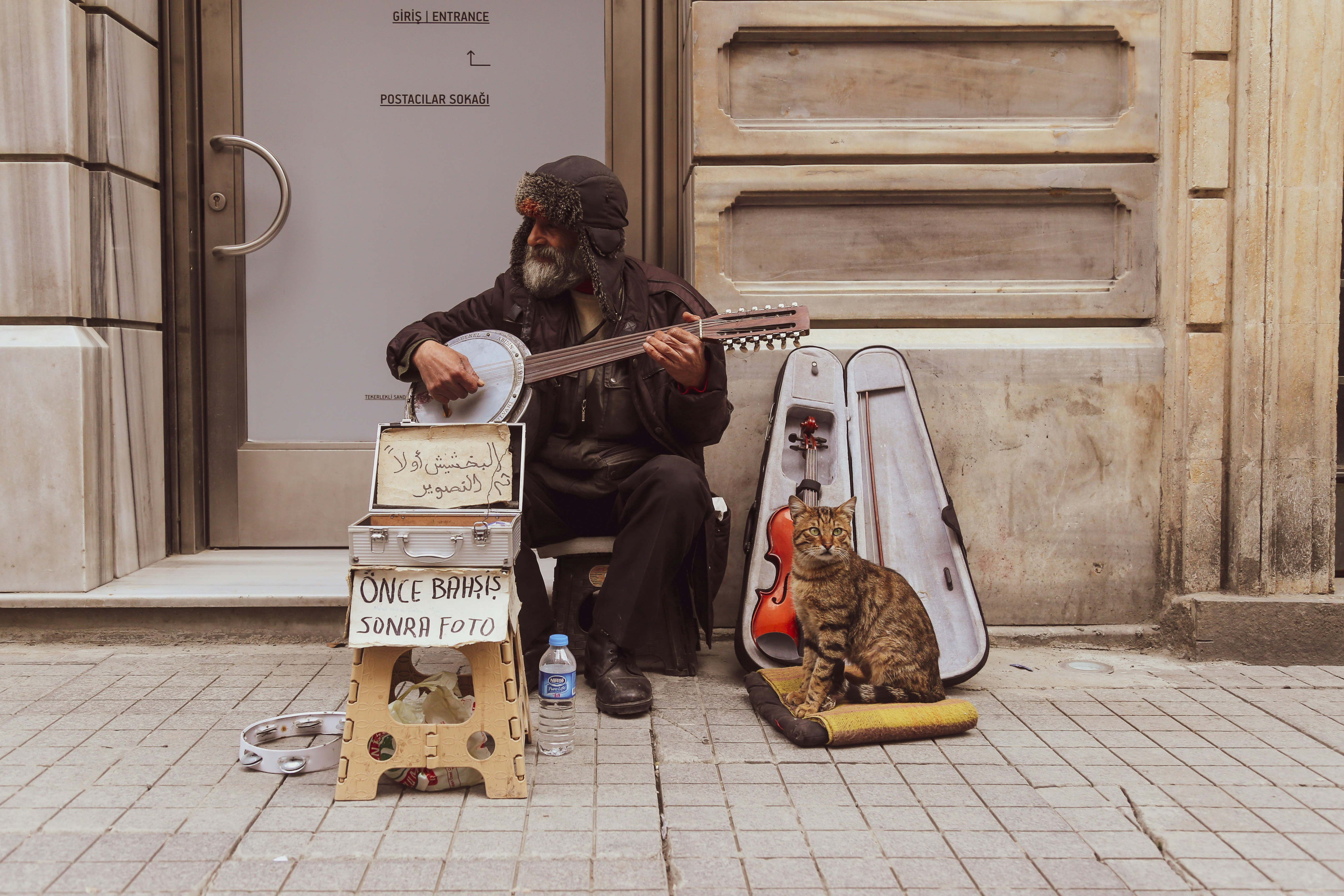 Guitarist at the Step: A Street Minstrel with Cat and Gear