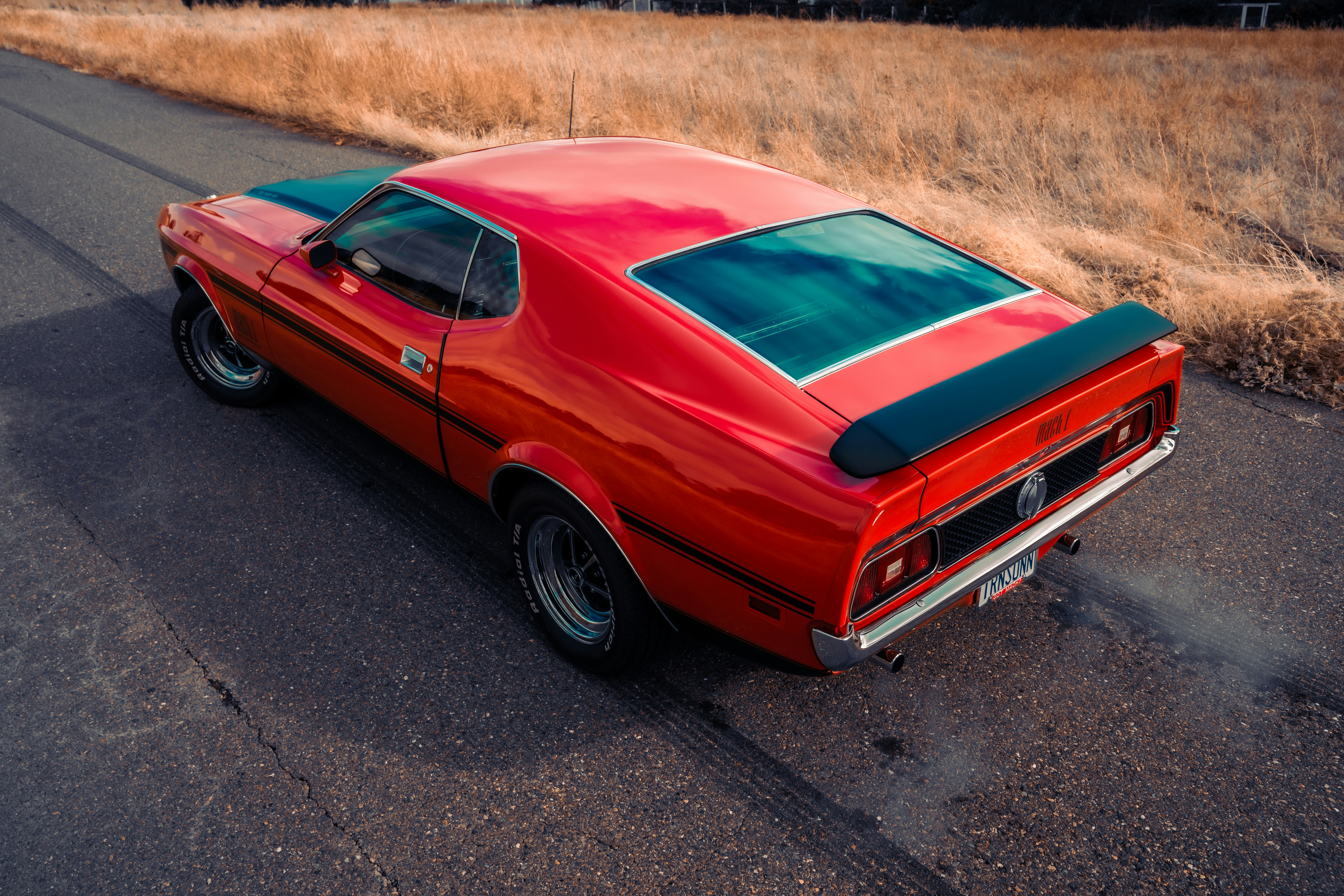 Red chevrolet camaro on road during daytime photo – Free Cameron park ...