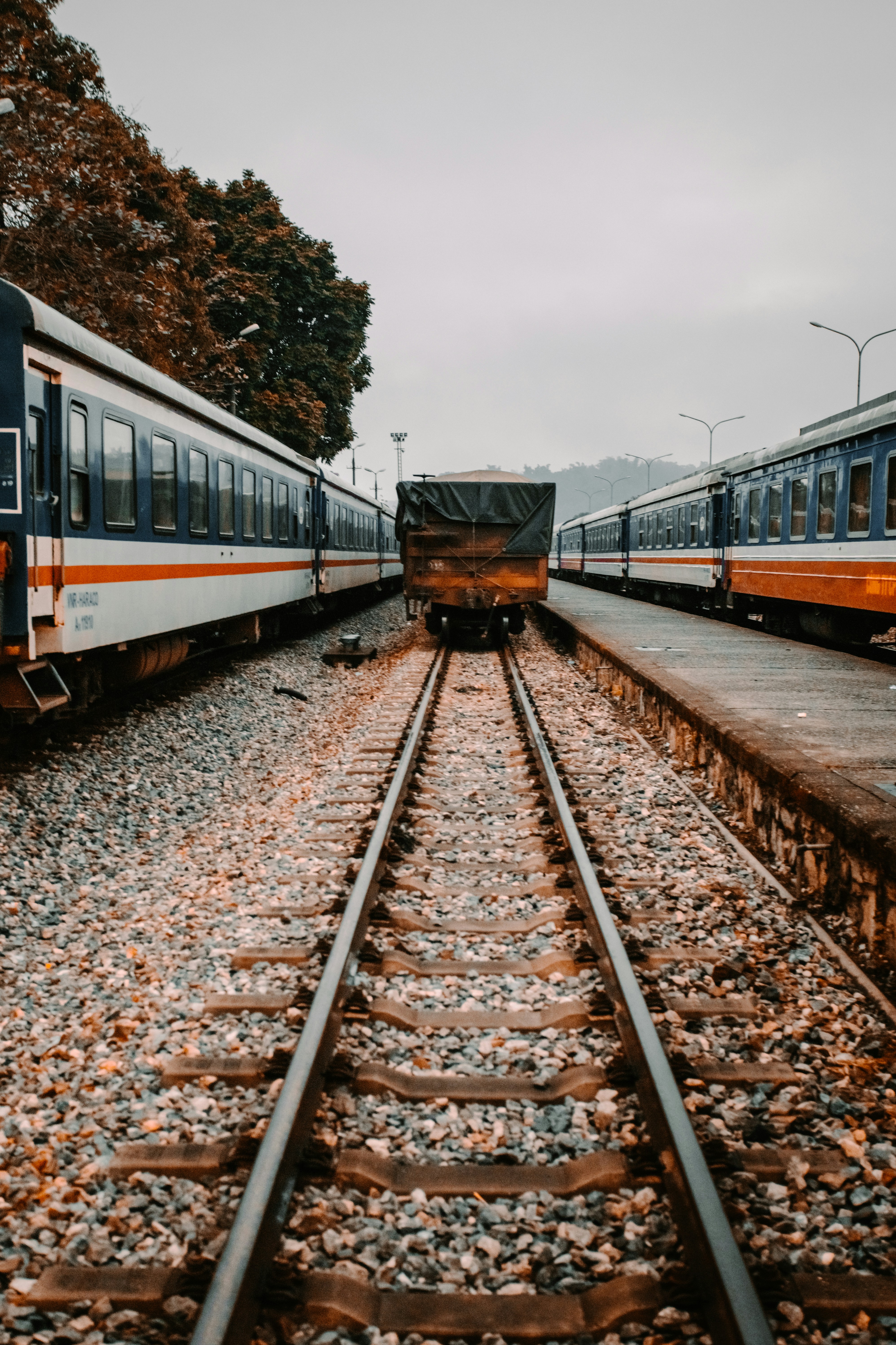 Abandoned railway tracks flanked by parked trains, evoking a sense of nostalgia and exploration. The muted colors enhance the tranquil atmosphere.