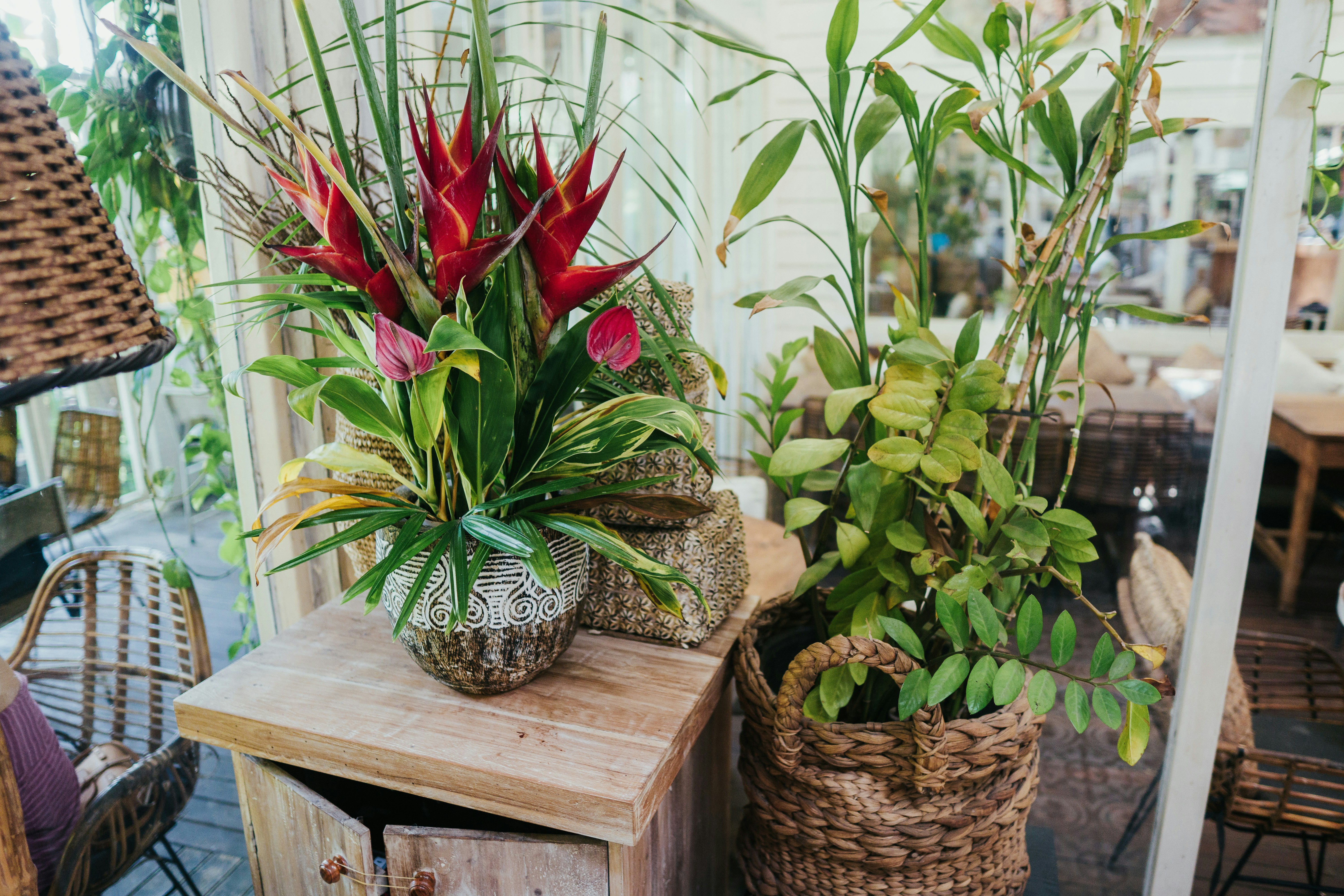 red flowers in brown woven basket on brown wooden table