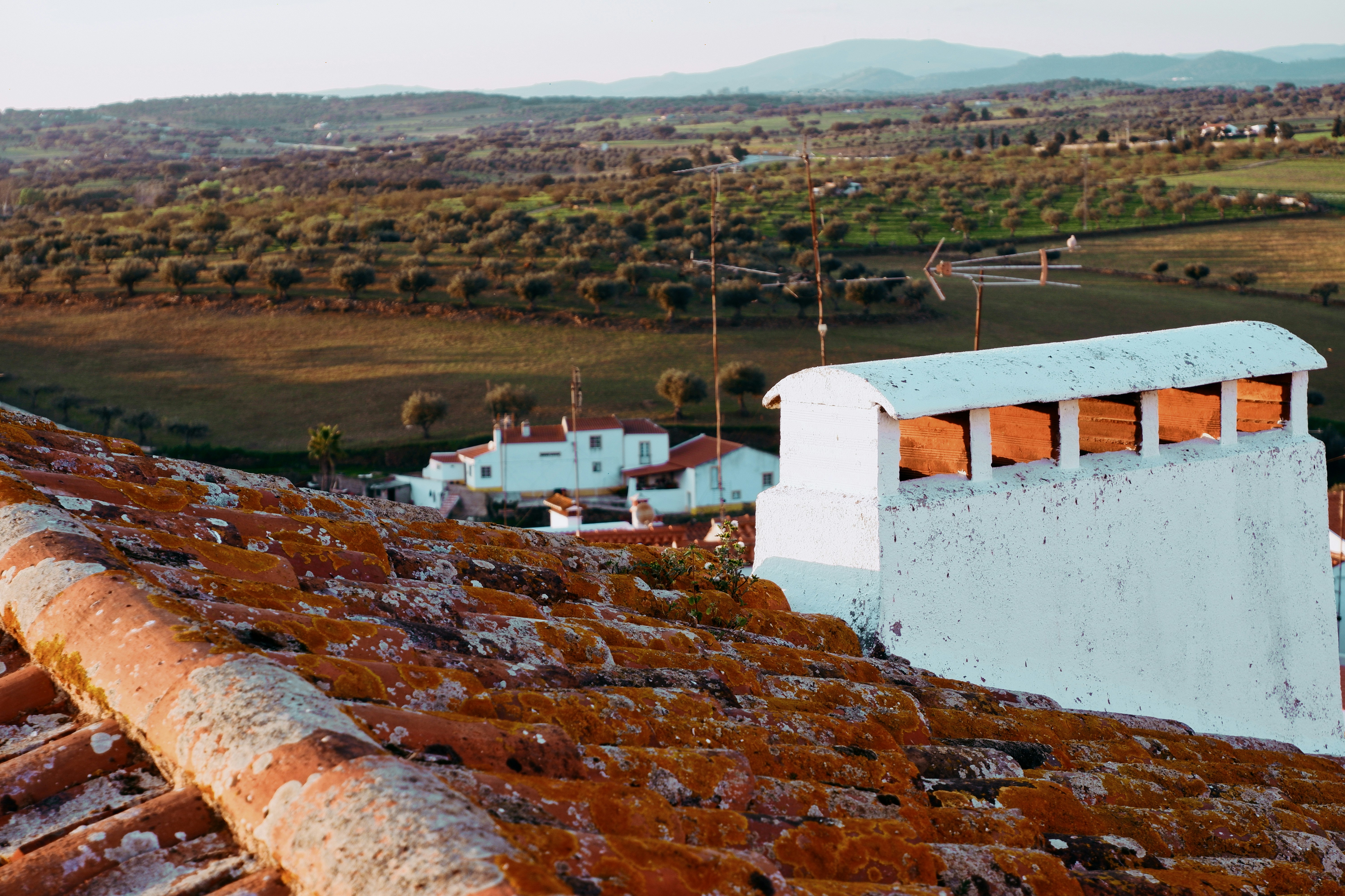 Terracotta Roof Tiles Framing a Quiet Countryside Vista