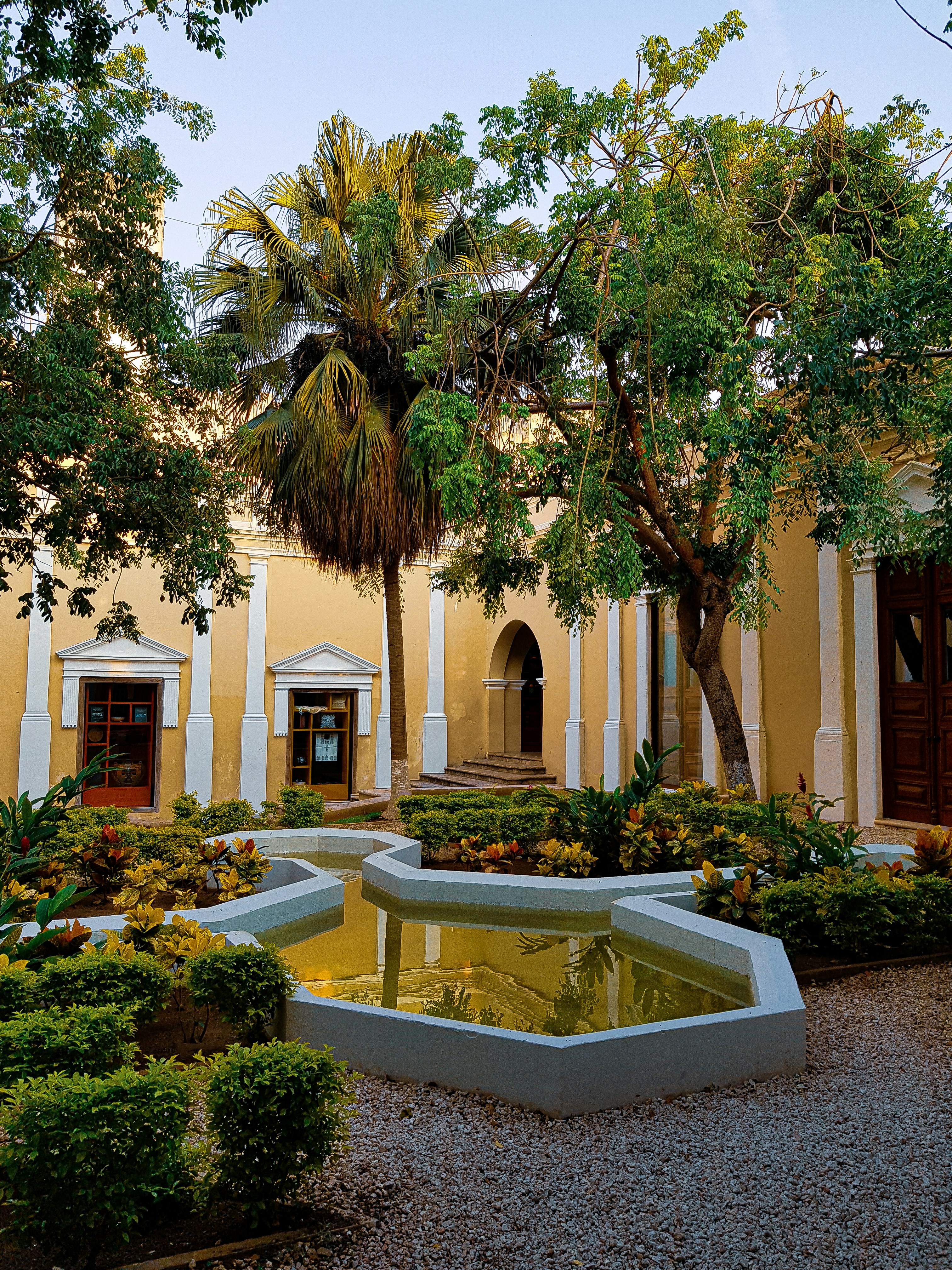 Green trees in front of white concrete building photo – Free Centro ...
