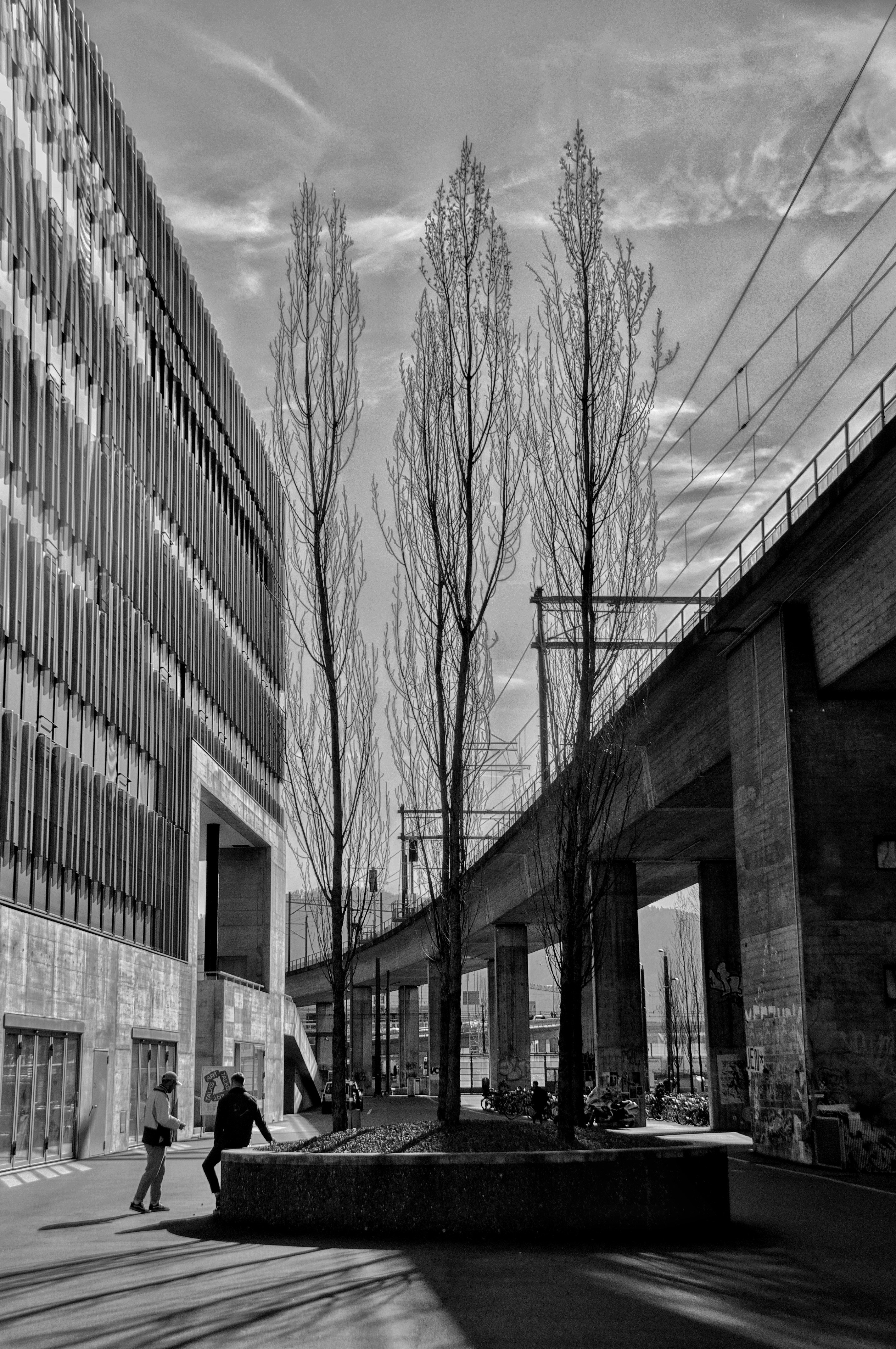 Tree-lined Axis Under Elevated Rails: A Monochrome City Moment
