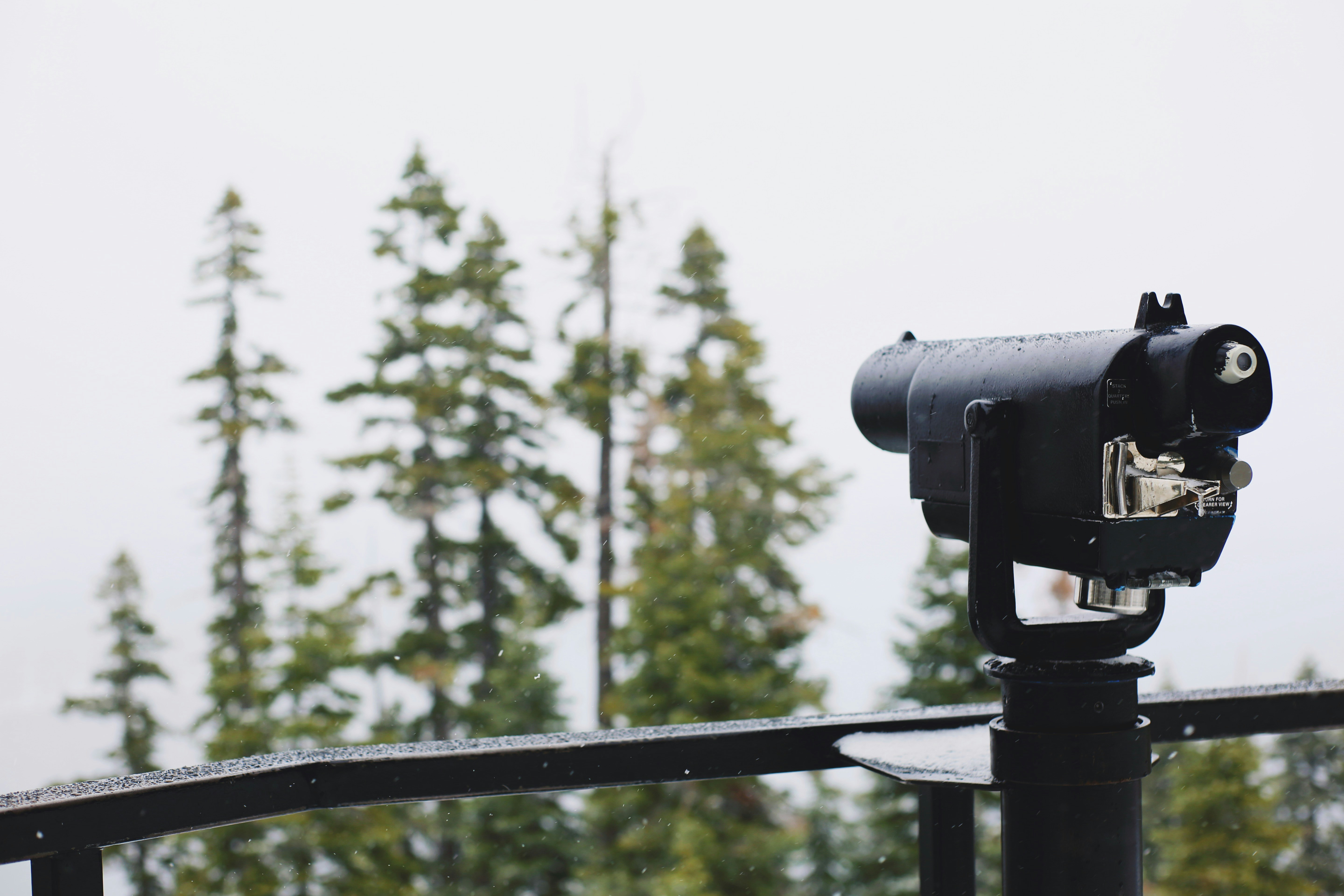 Coin-operated binoculars overlooking a misty forest of tall evergreen trees.