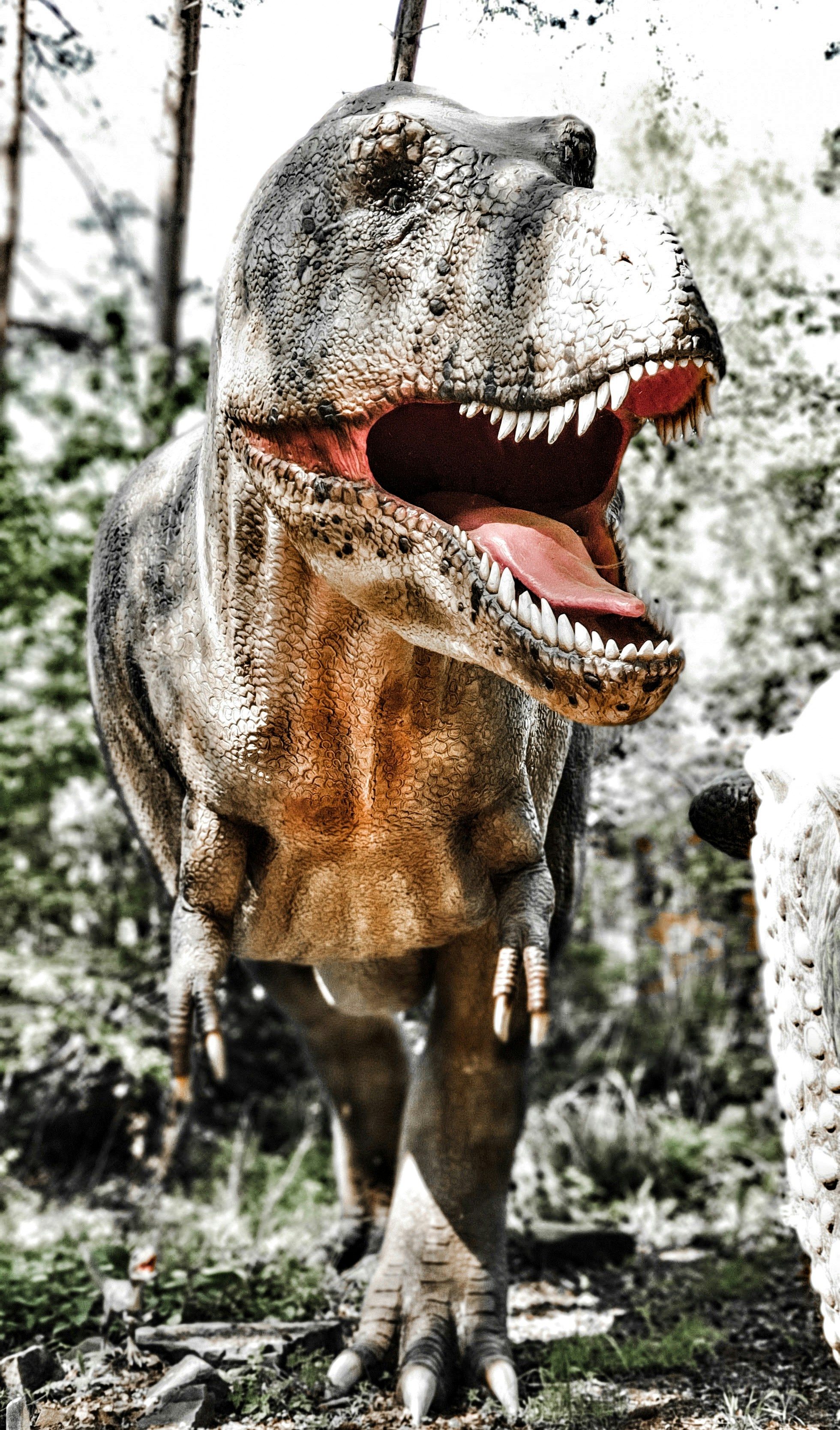500+ Dinosaur Pictures [HQ] | Download Free Images on Unsplash