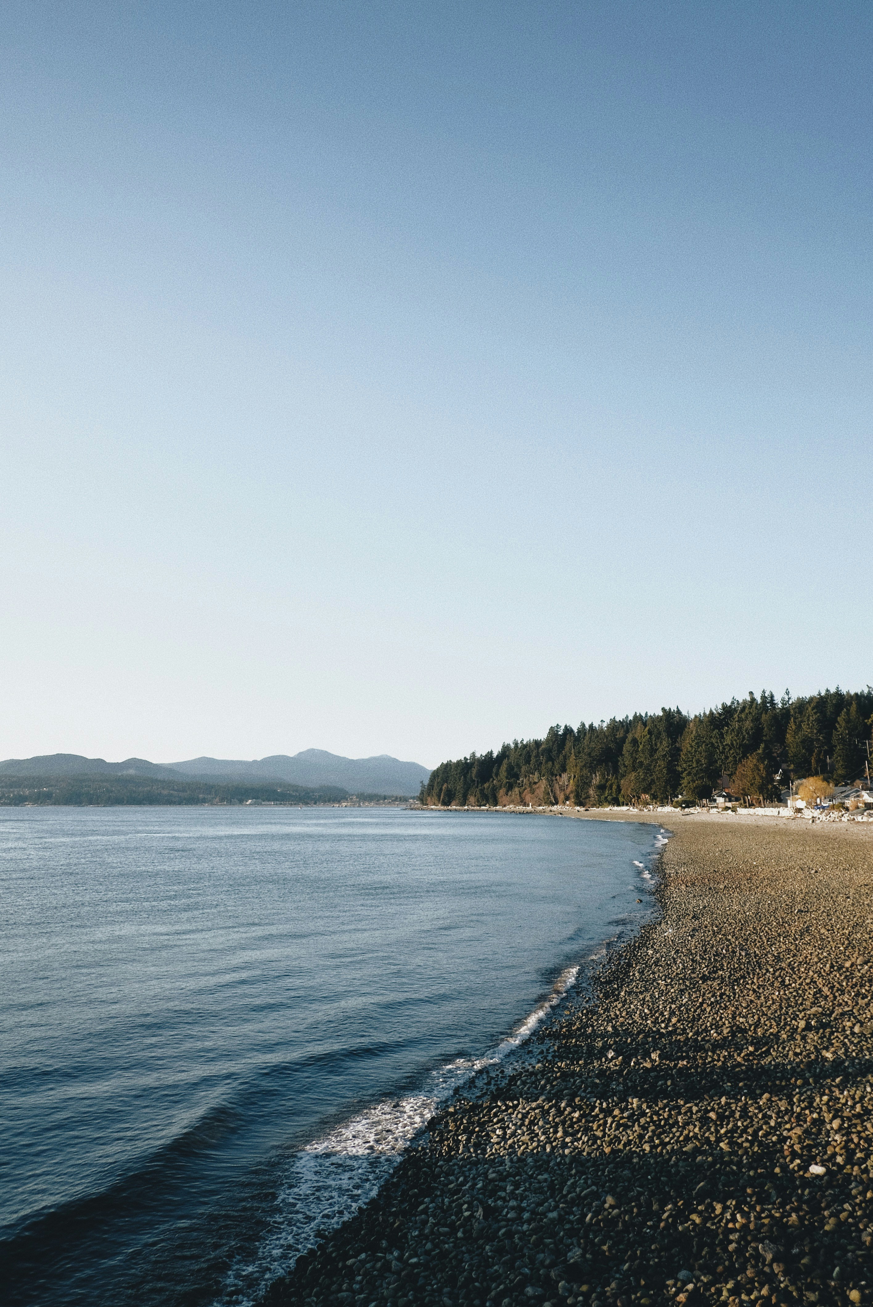 Green trees near body of water during daytime photo – Free Sechelt ...