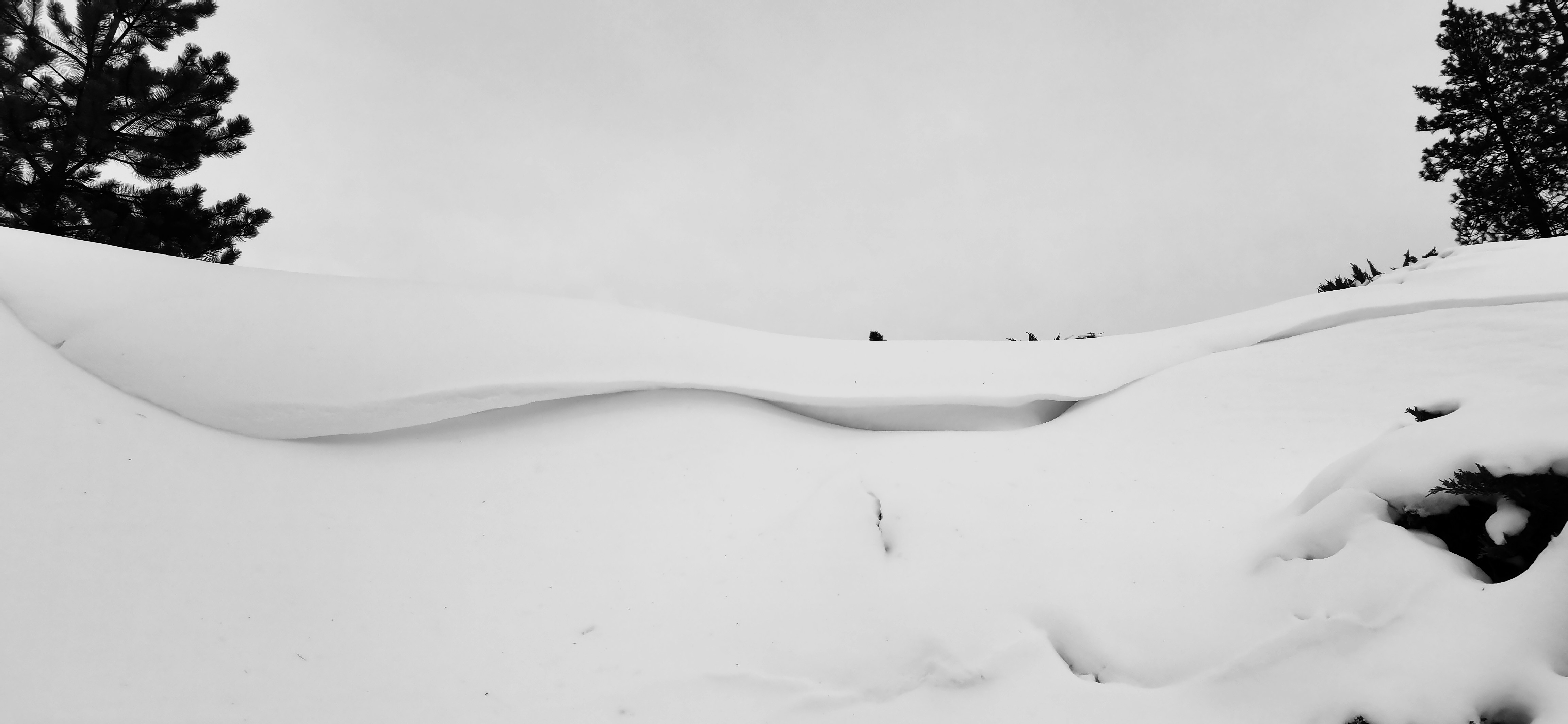 Rolling snowdrifts create gentle curves beneath overcast skies with evergreen trees framing the scene.