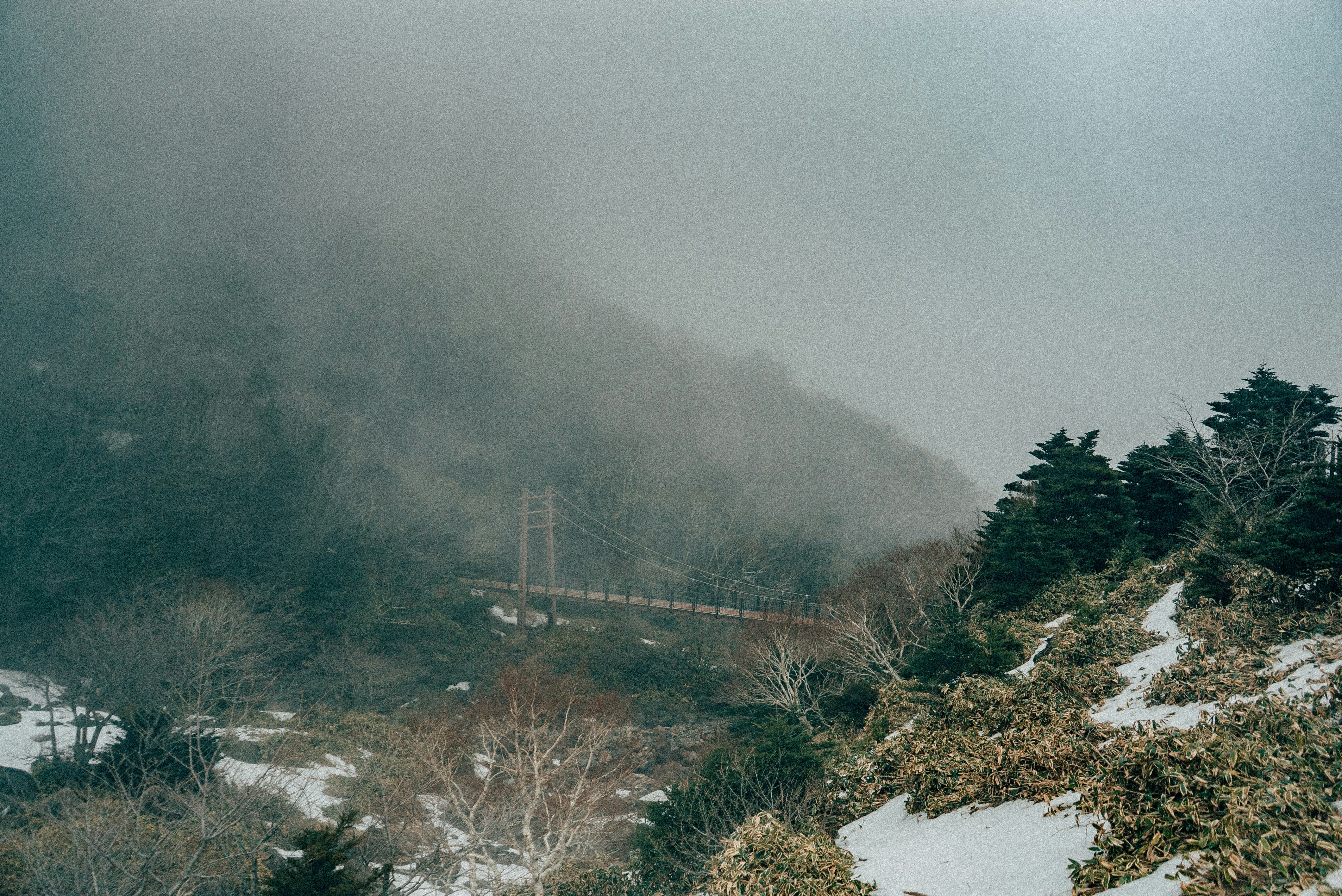 brown wooden bridge over river