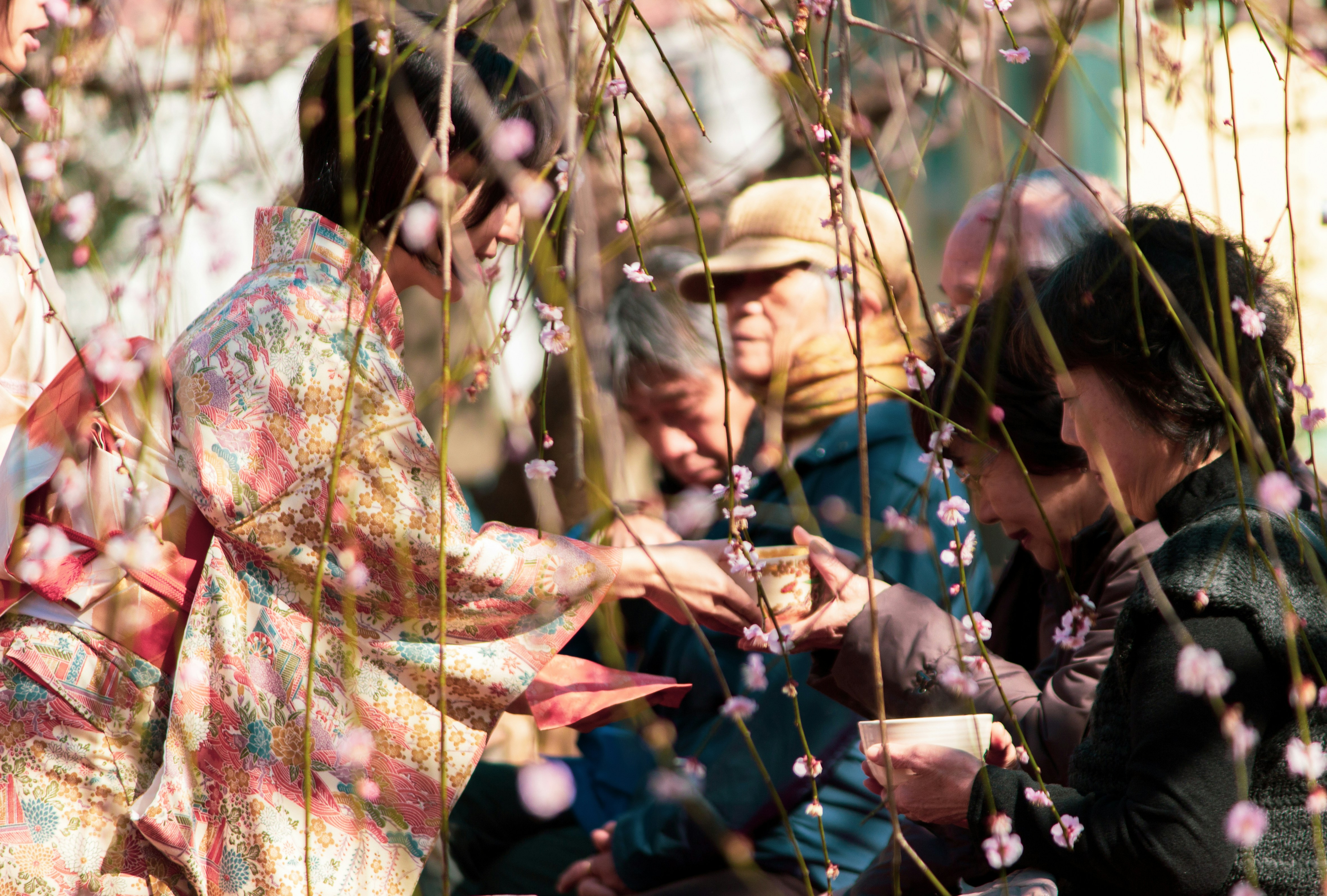 Threads of Ceremony: A Market Moment Amid Blossoms