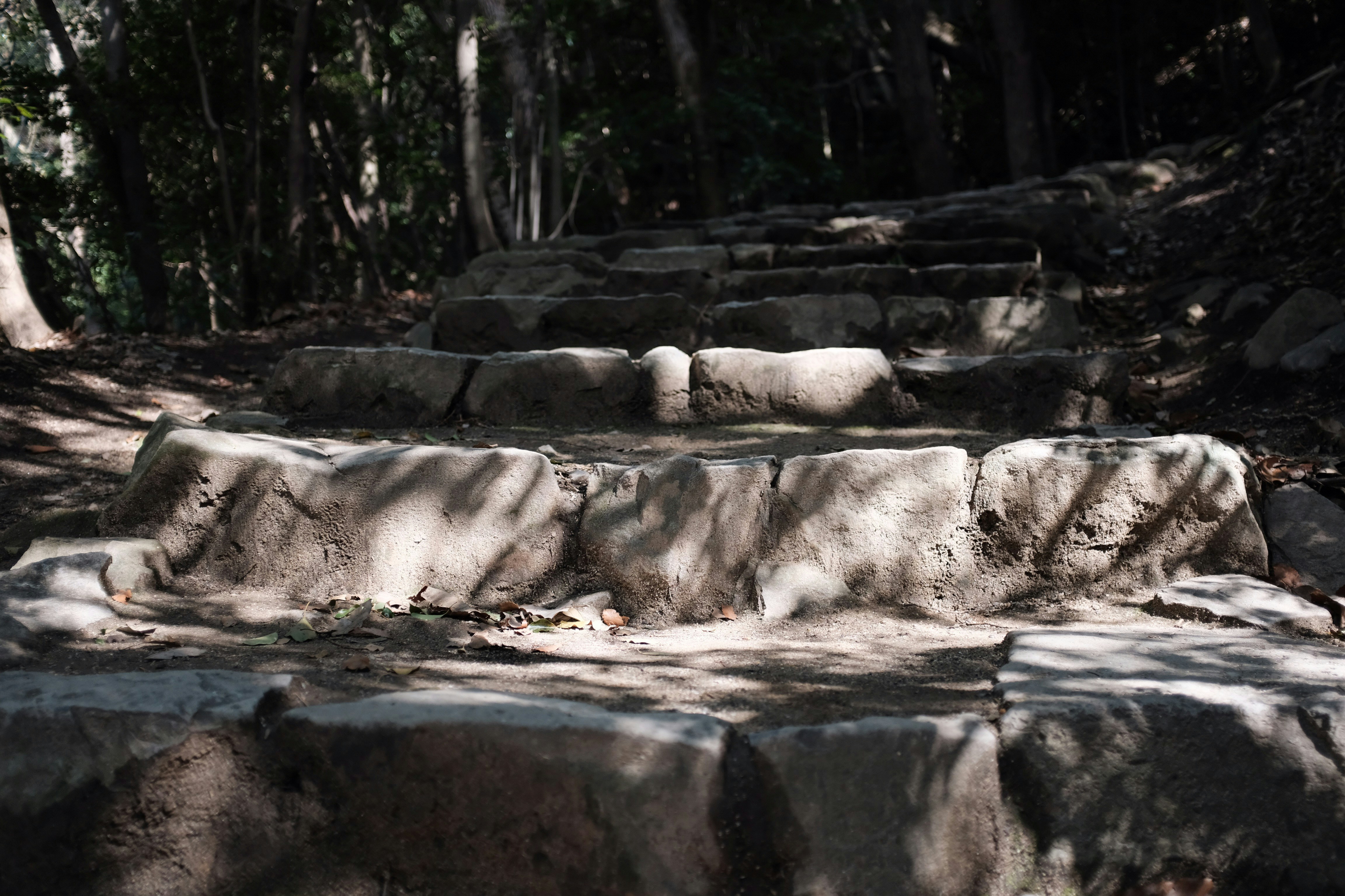 Stone Stairway Through Dappled Light