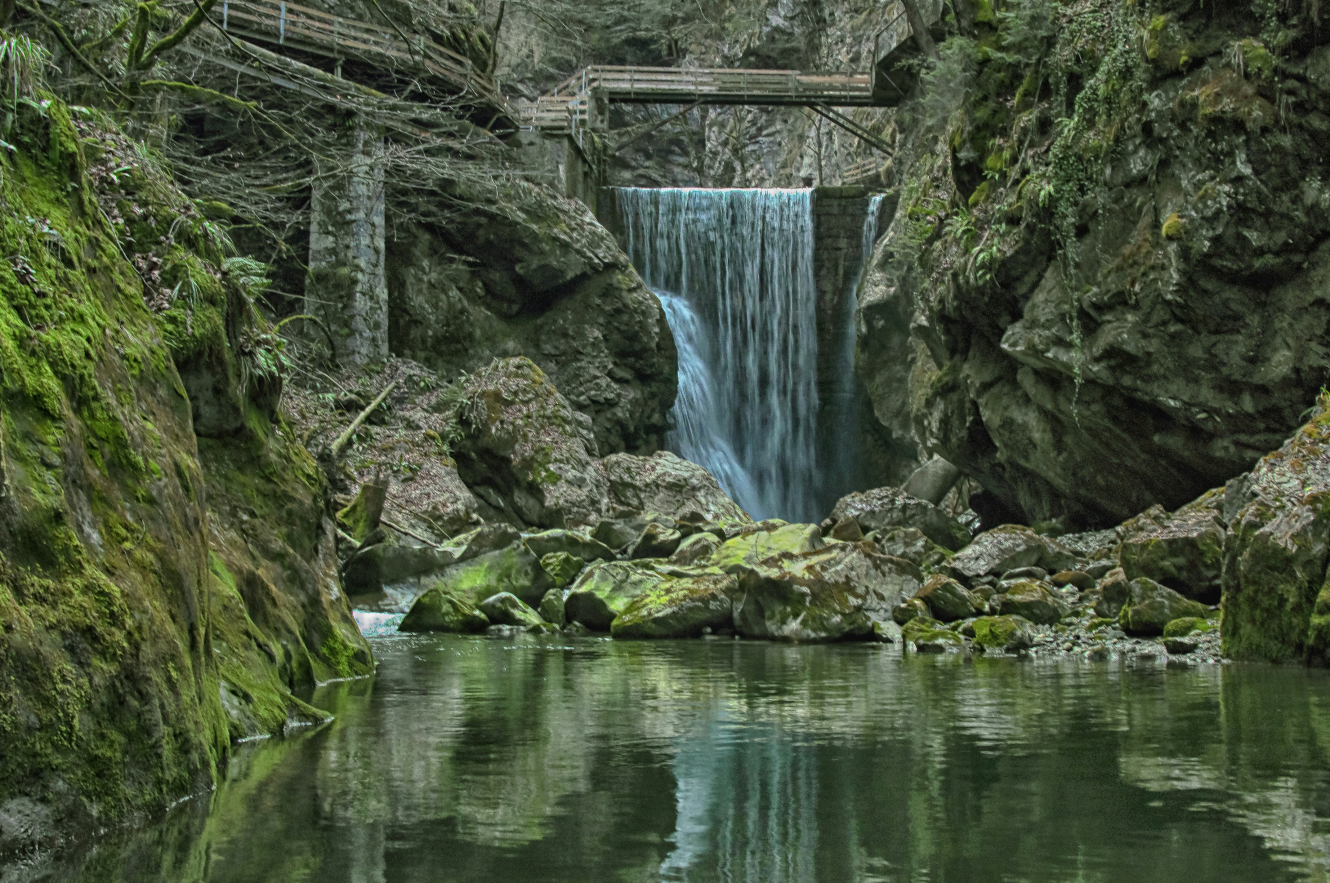 Moss-Cloaked Cascade Framed by a Timber Bridge