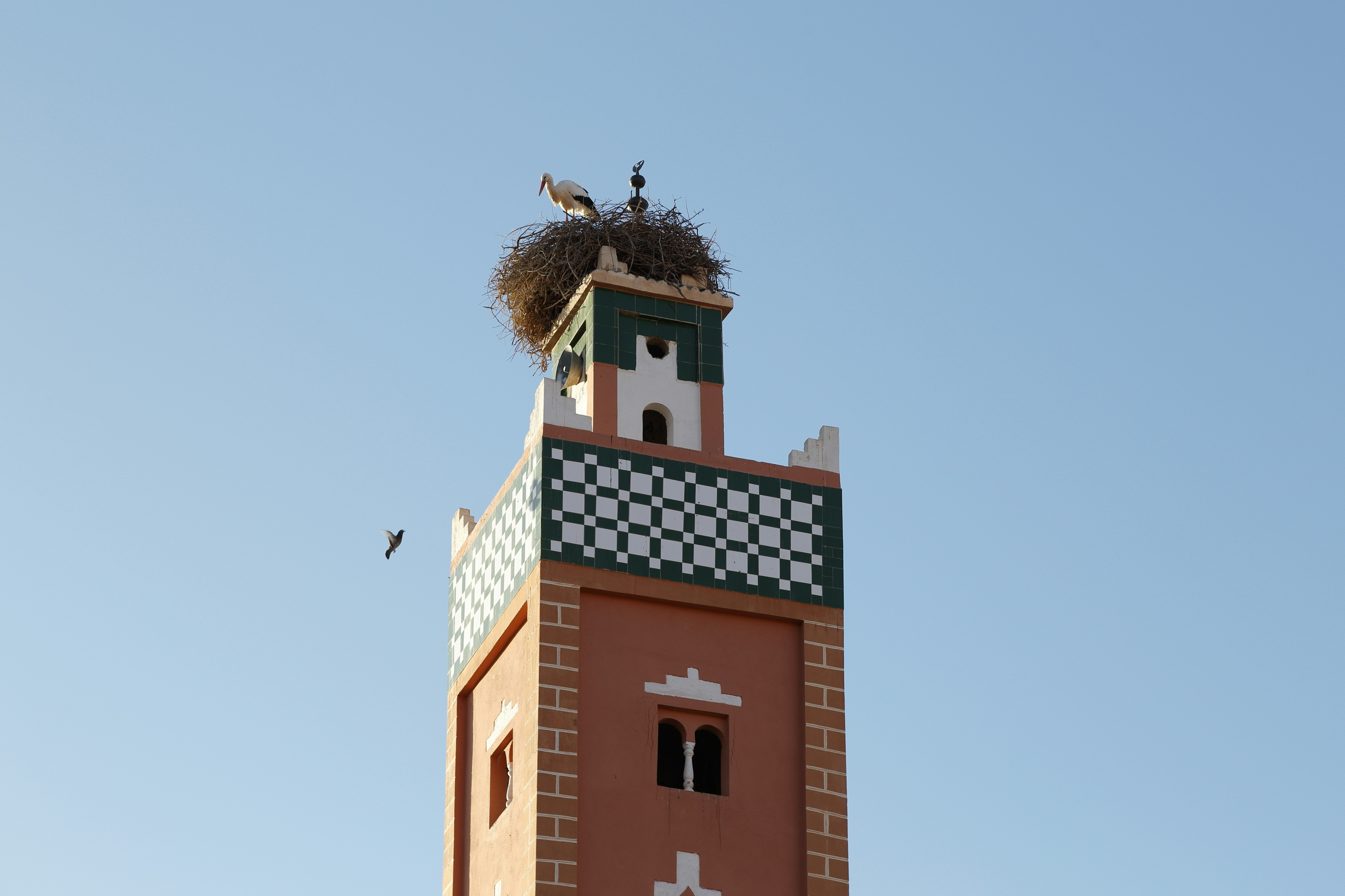 Storks perched atop a tall tower with a large nest, showcasing a blend of architecture and nature against a clear blue sky.