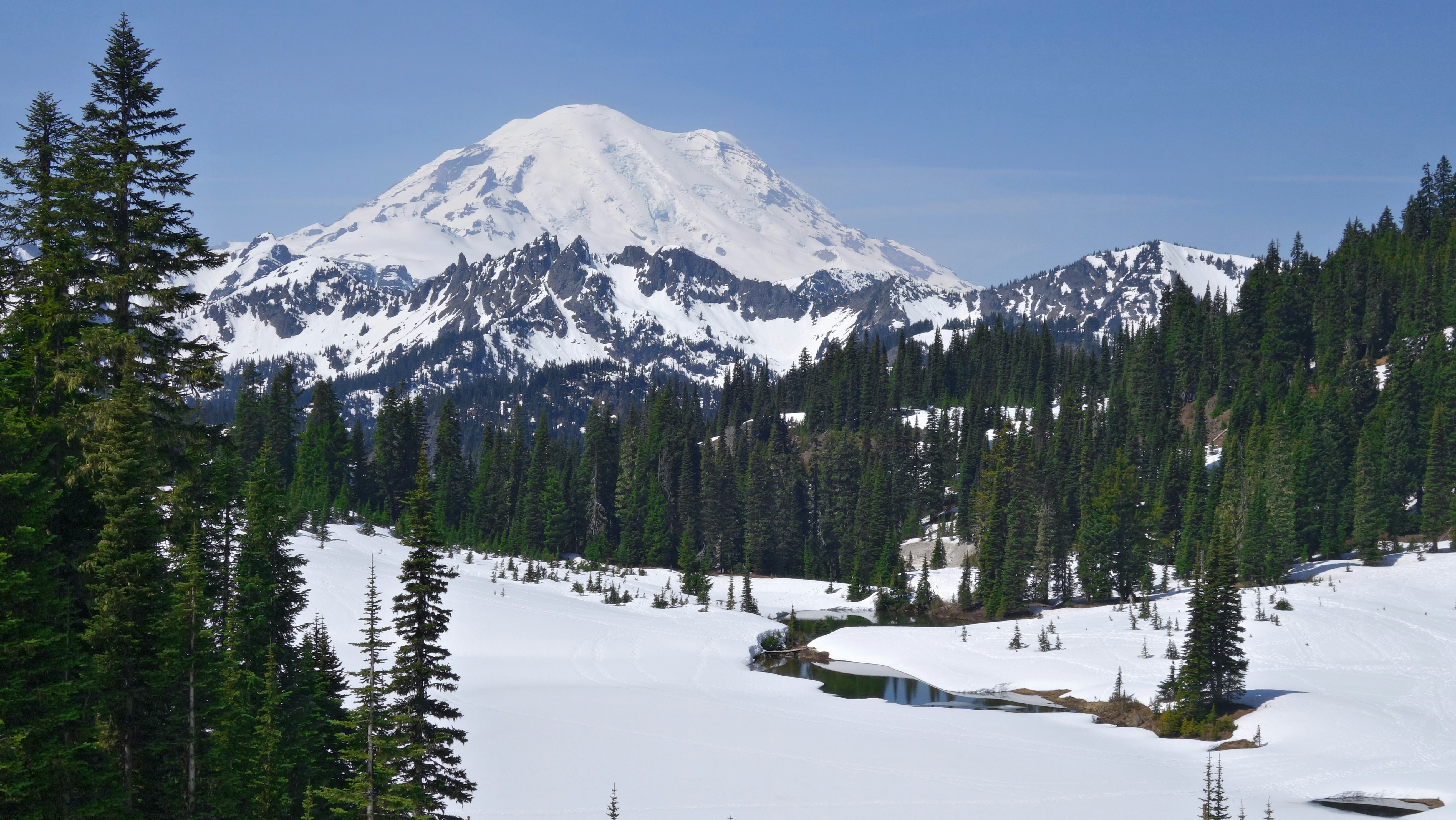 Snow-Crowned Summit Over Labrador Pines
