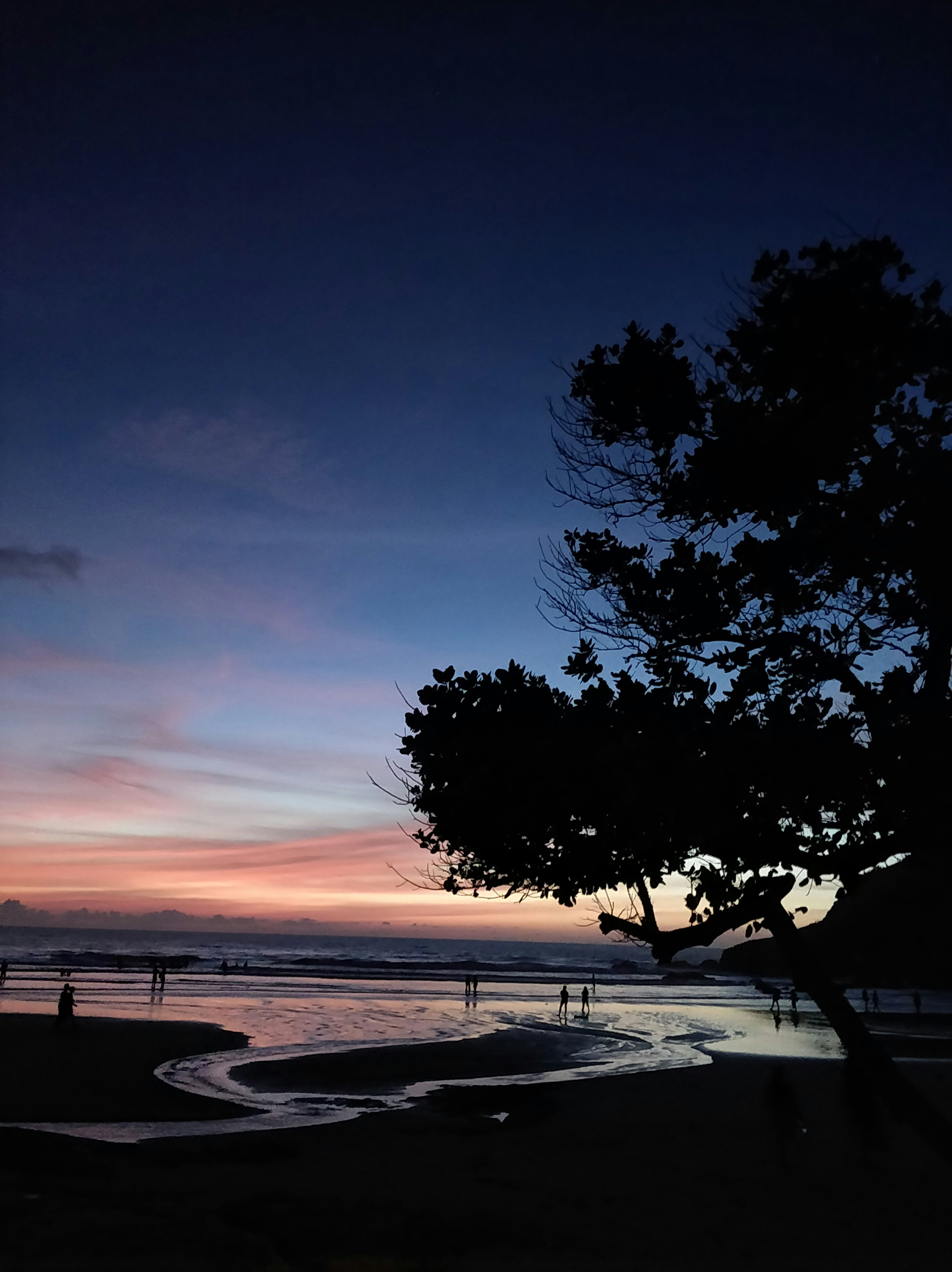 Twilight Silhouette by the Shore