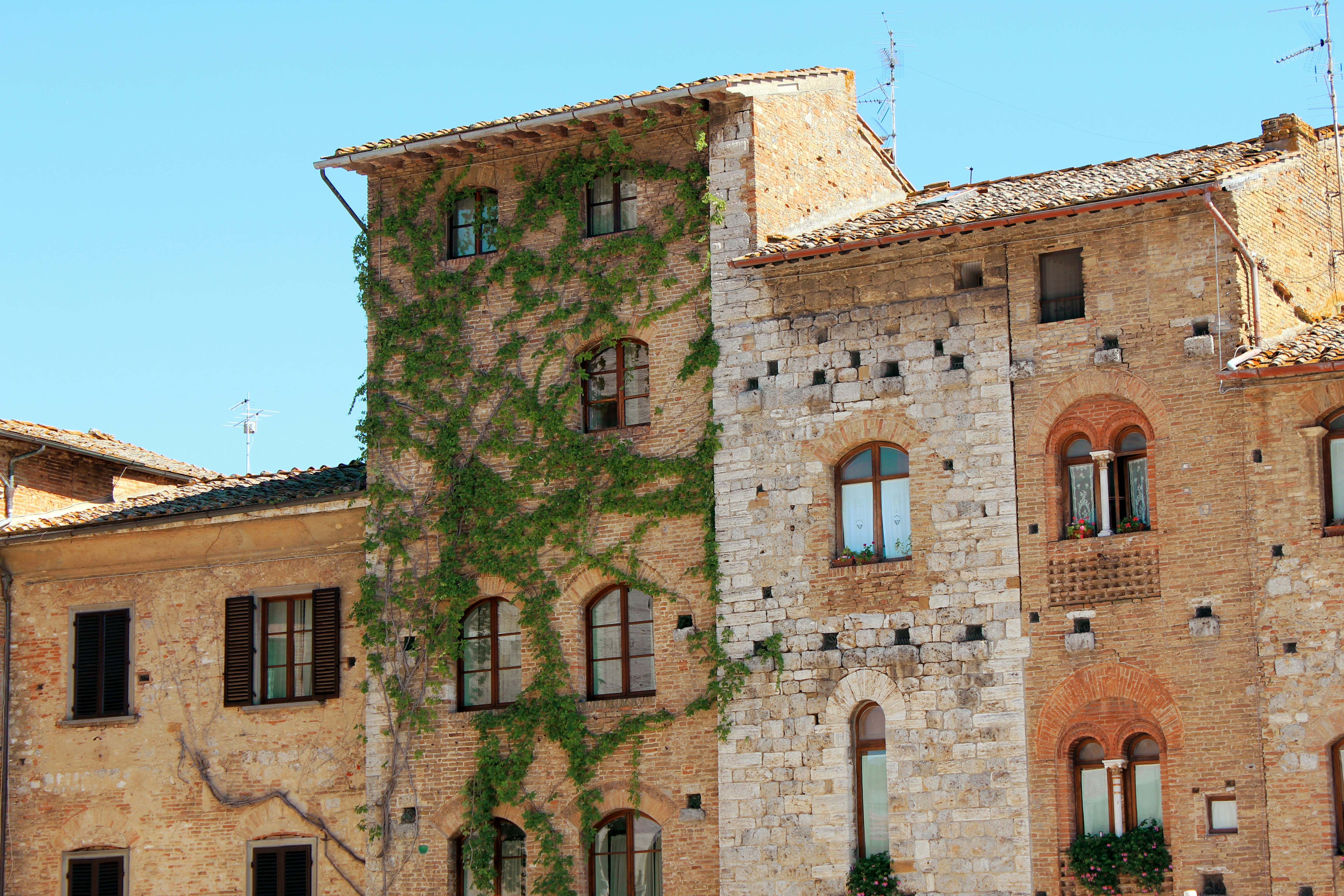 Ancient stone building adorned with vibrant green ivy, showcasing a blend of rustic architecture and nature's touch.