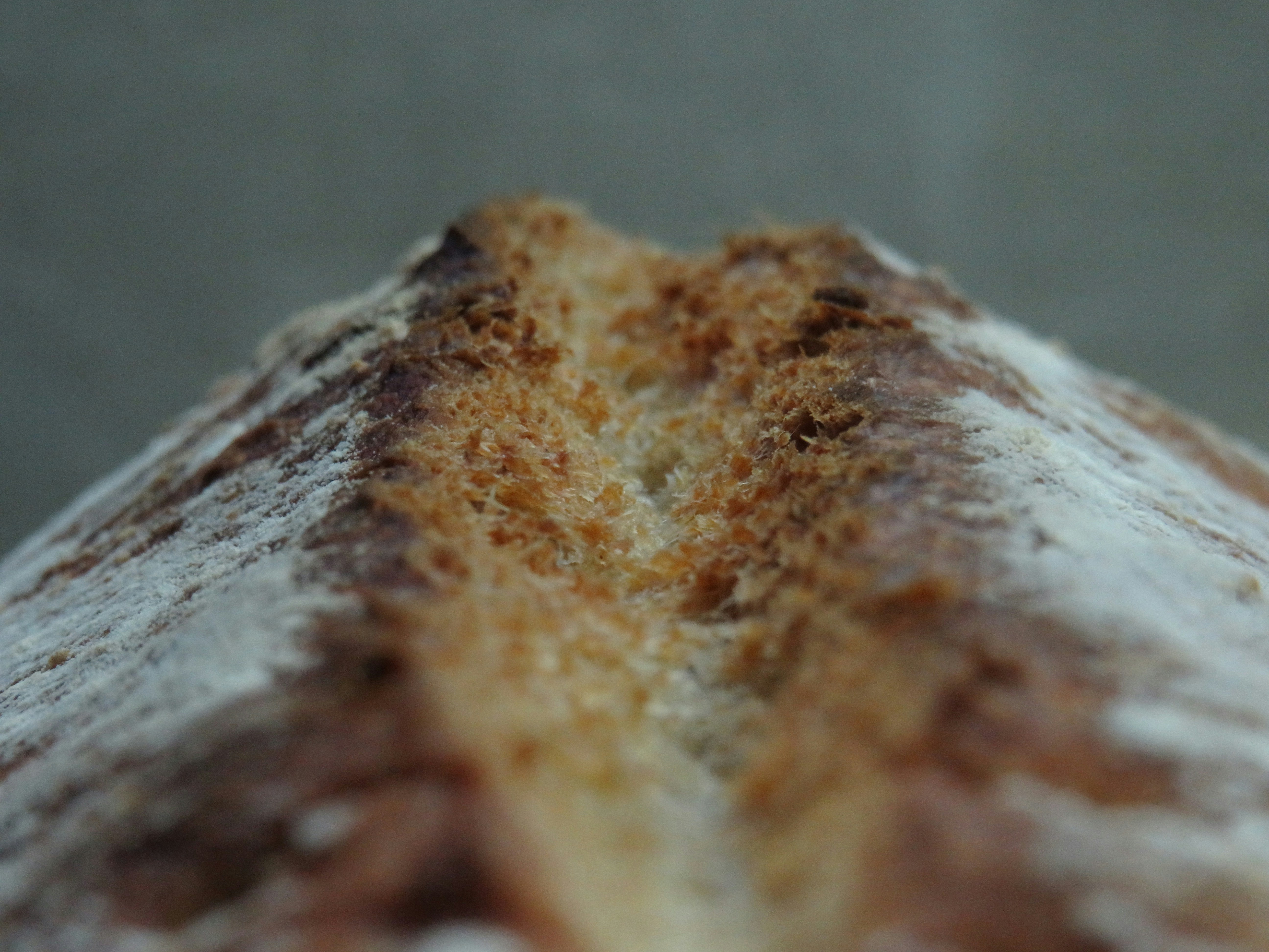 Close-up view of a freshly baked loaf of bread, showcasing its crusty exterior and soft, airy interior.