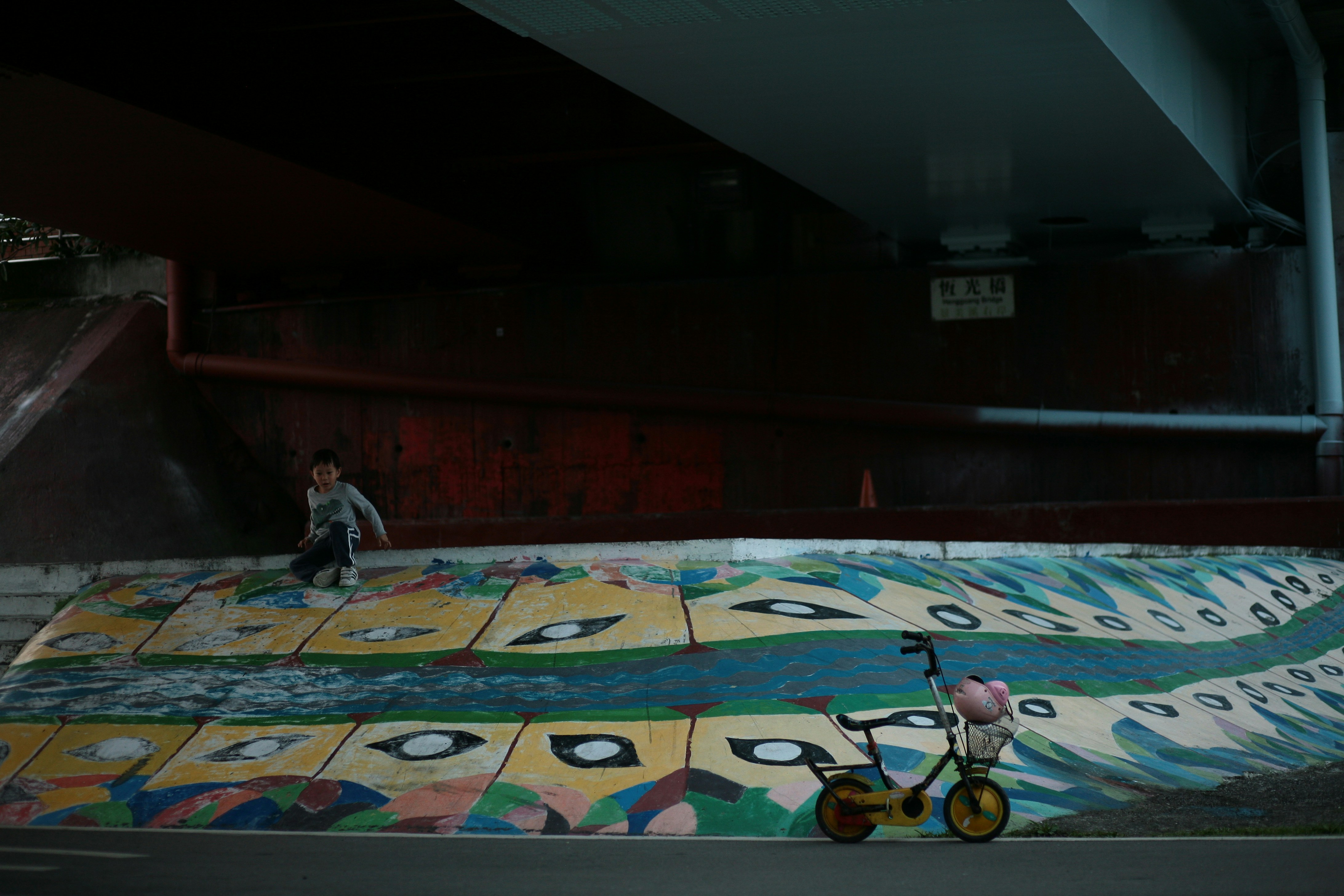 Man in white shirt riding bicycle on blue and yellow carpet photo ...