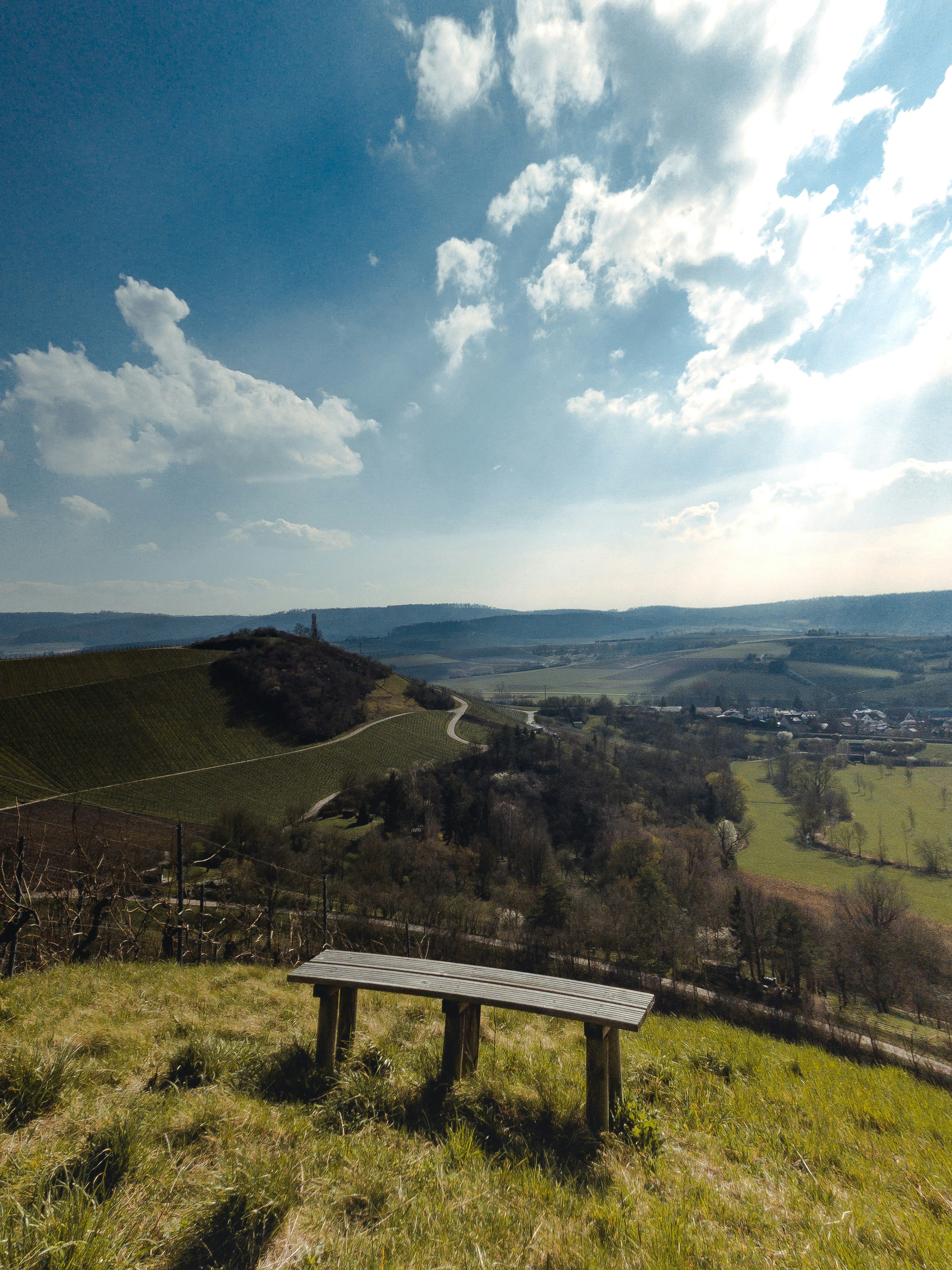 Sunlit Ridge Bench Overlooking Vineyard Hills and a Winding Valley