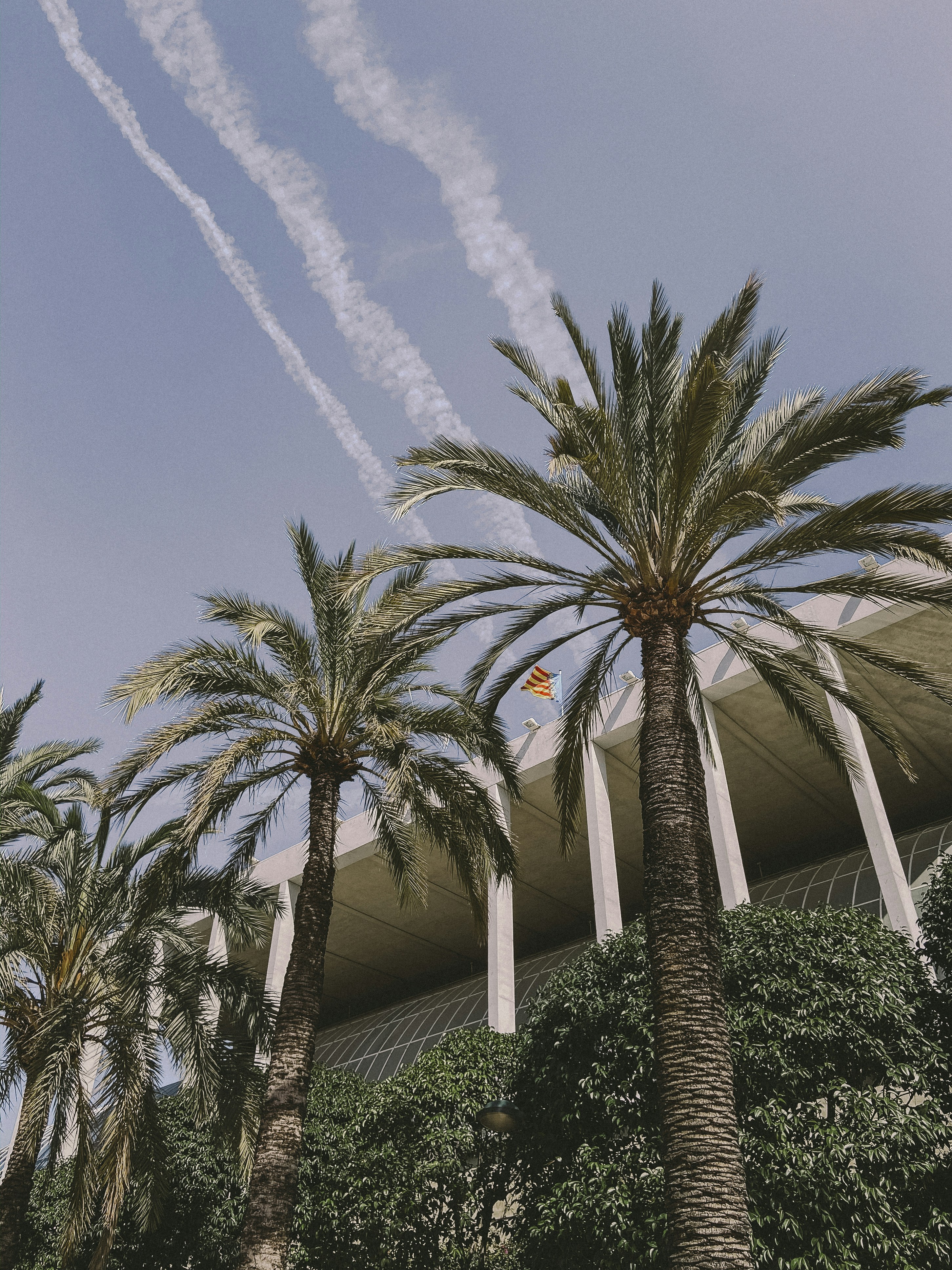 Palm trees frame a modern architectural structure under a clear sky marked by vapor trails. The scene blends urban and natural elements harmoniously.