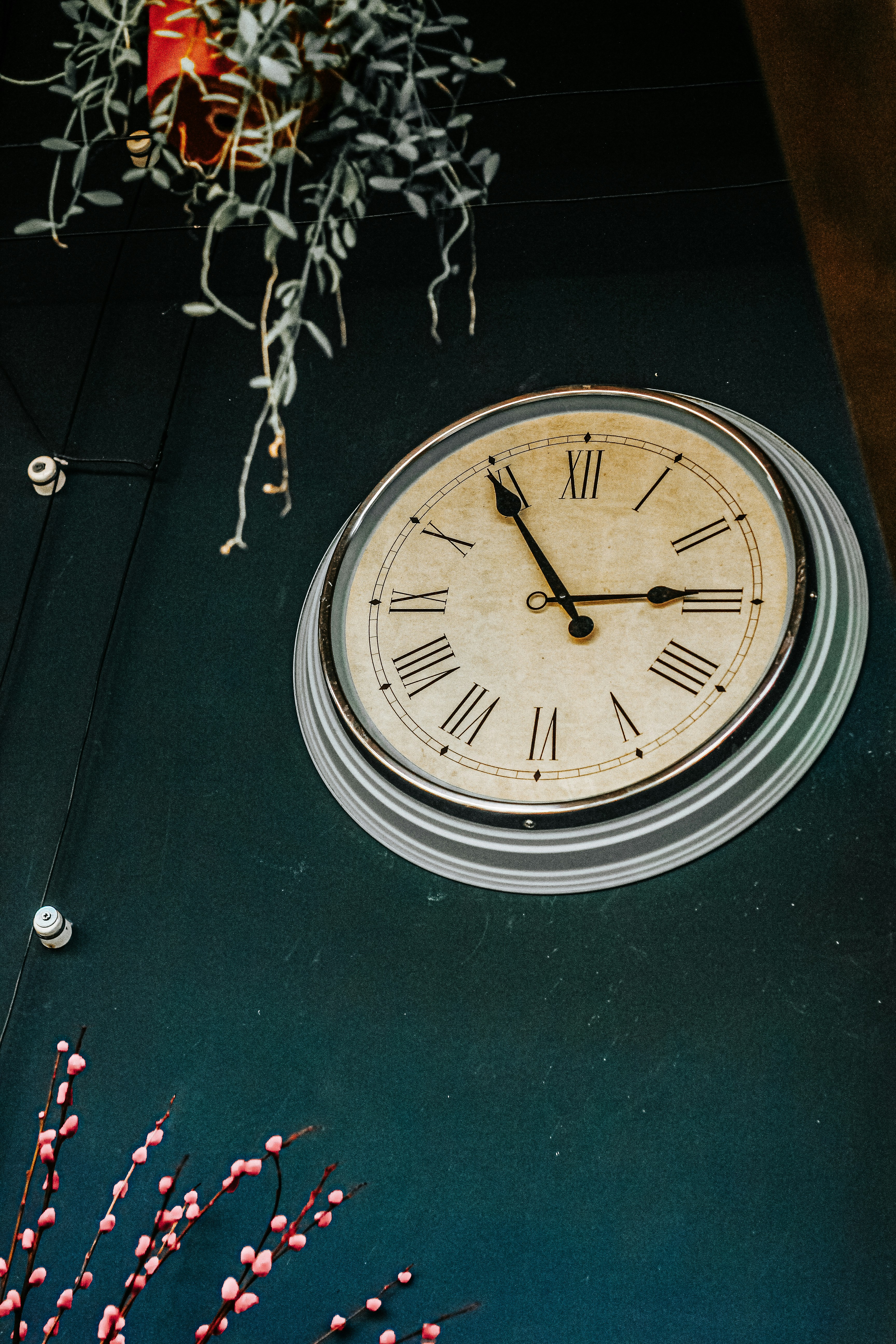 Antique clock with Roman numerals mounted on a dark green wall, surrounded by hanging plants and decorative branches.