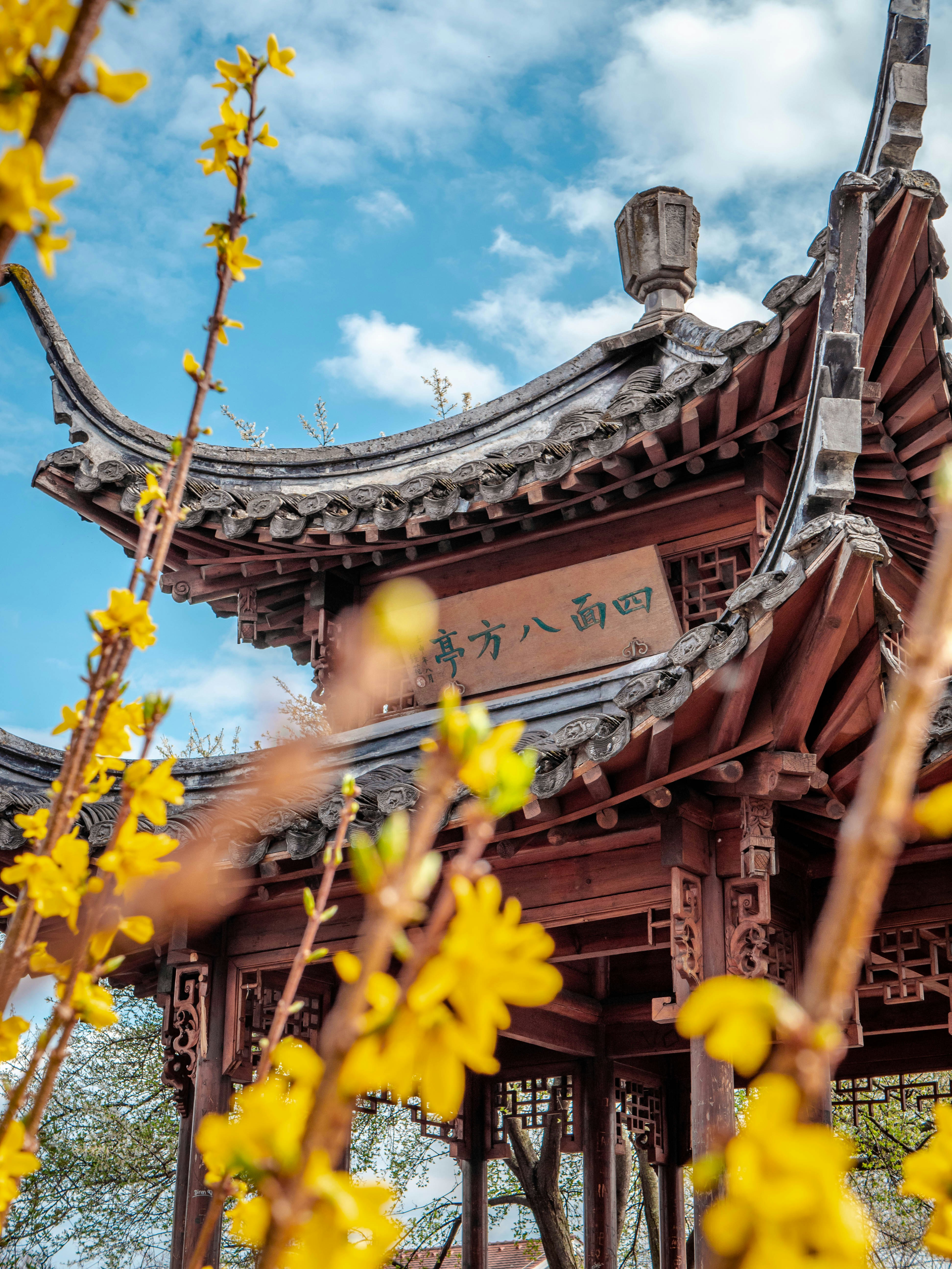 Temple Roof Overlooked by Yellow Blooms