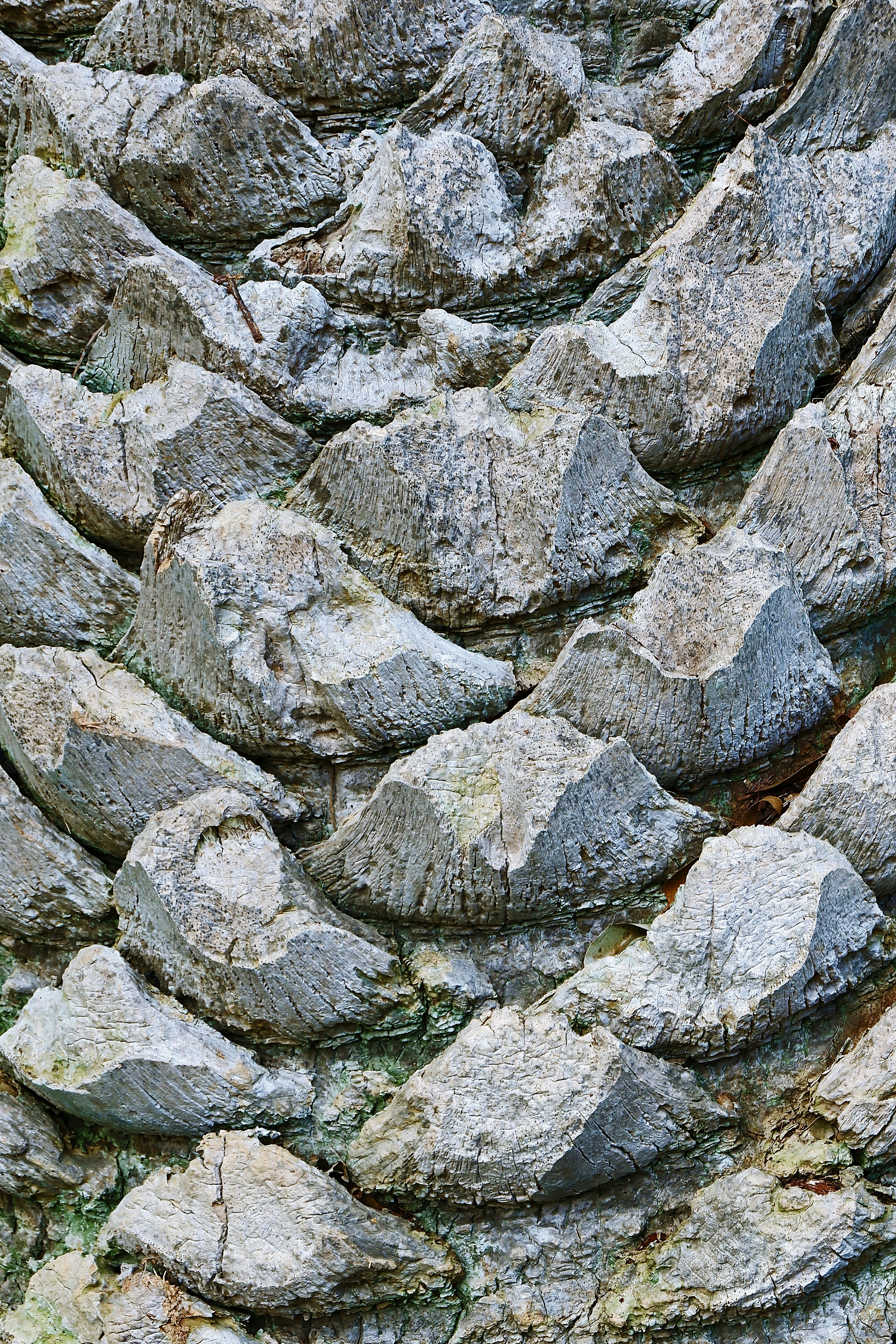 Limestone Pictures | Download Free Images on Unsplash