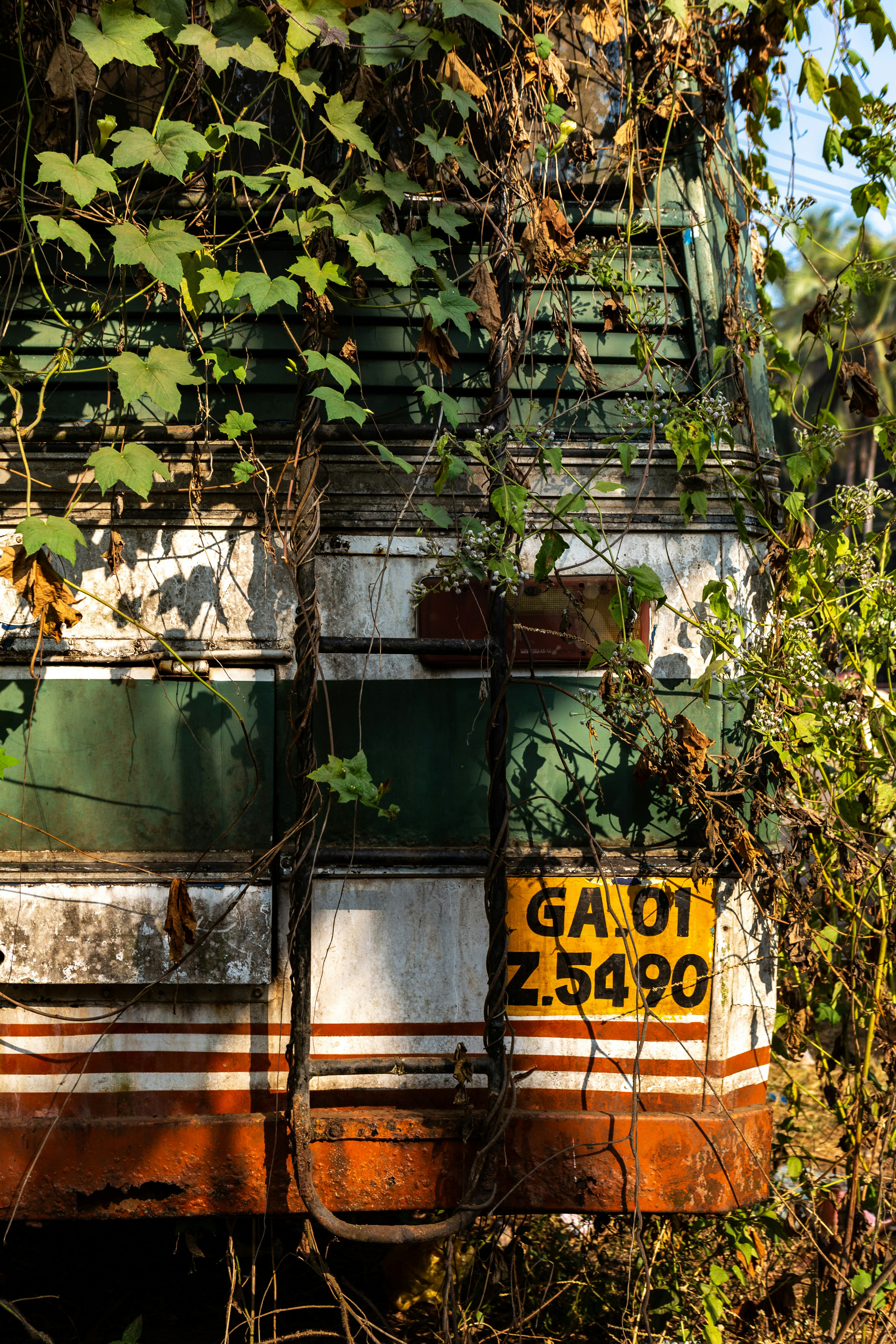 Overgrown Rest: A Weathered Vehicle Embraced by Vines