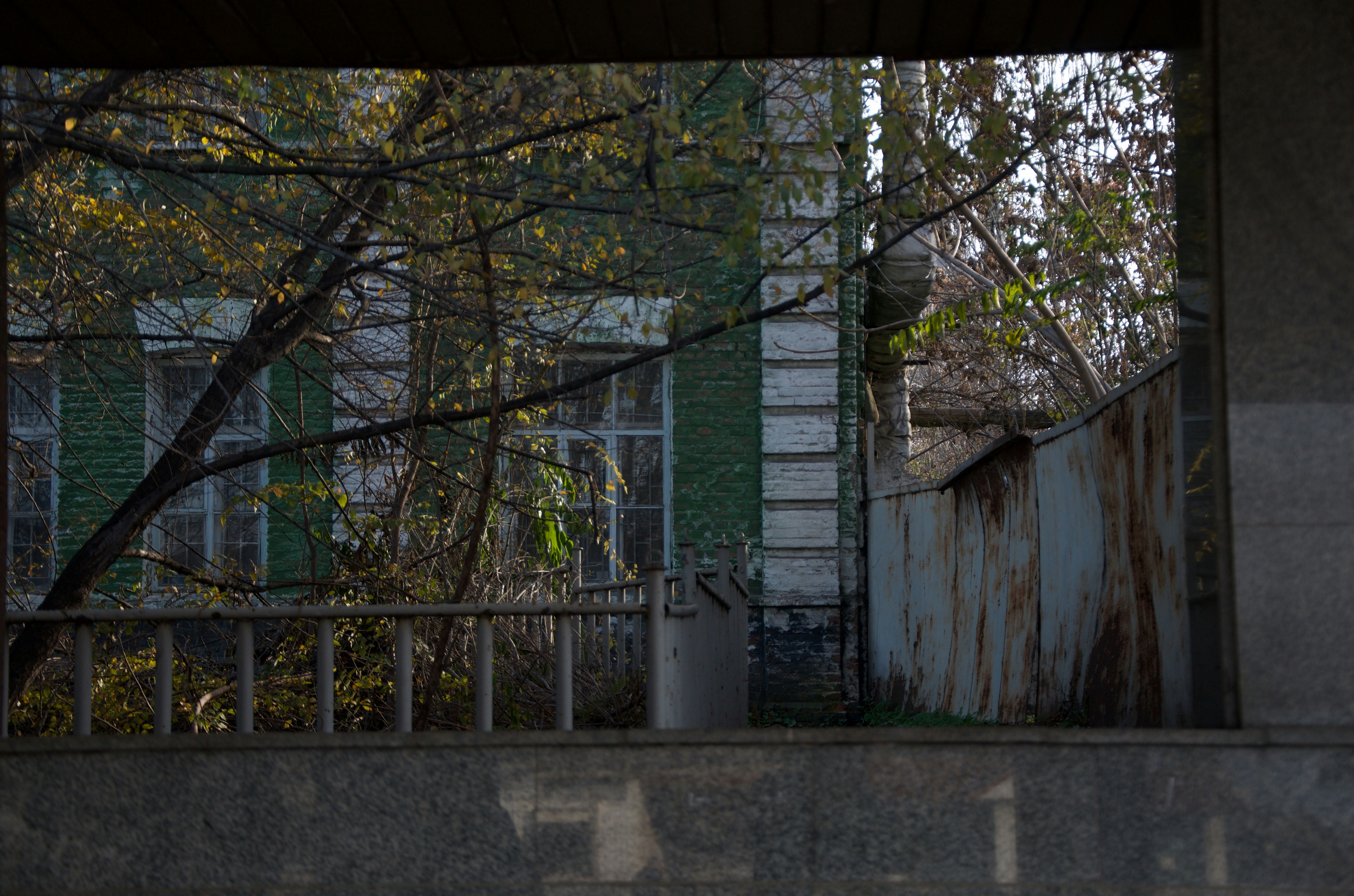 Funny Dull (@funny_dull) | Communauté photos Unsplash