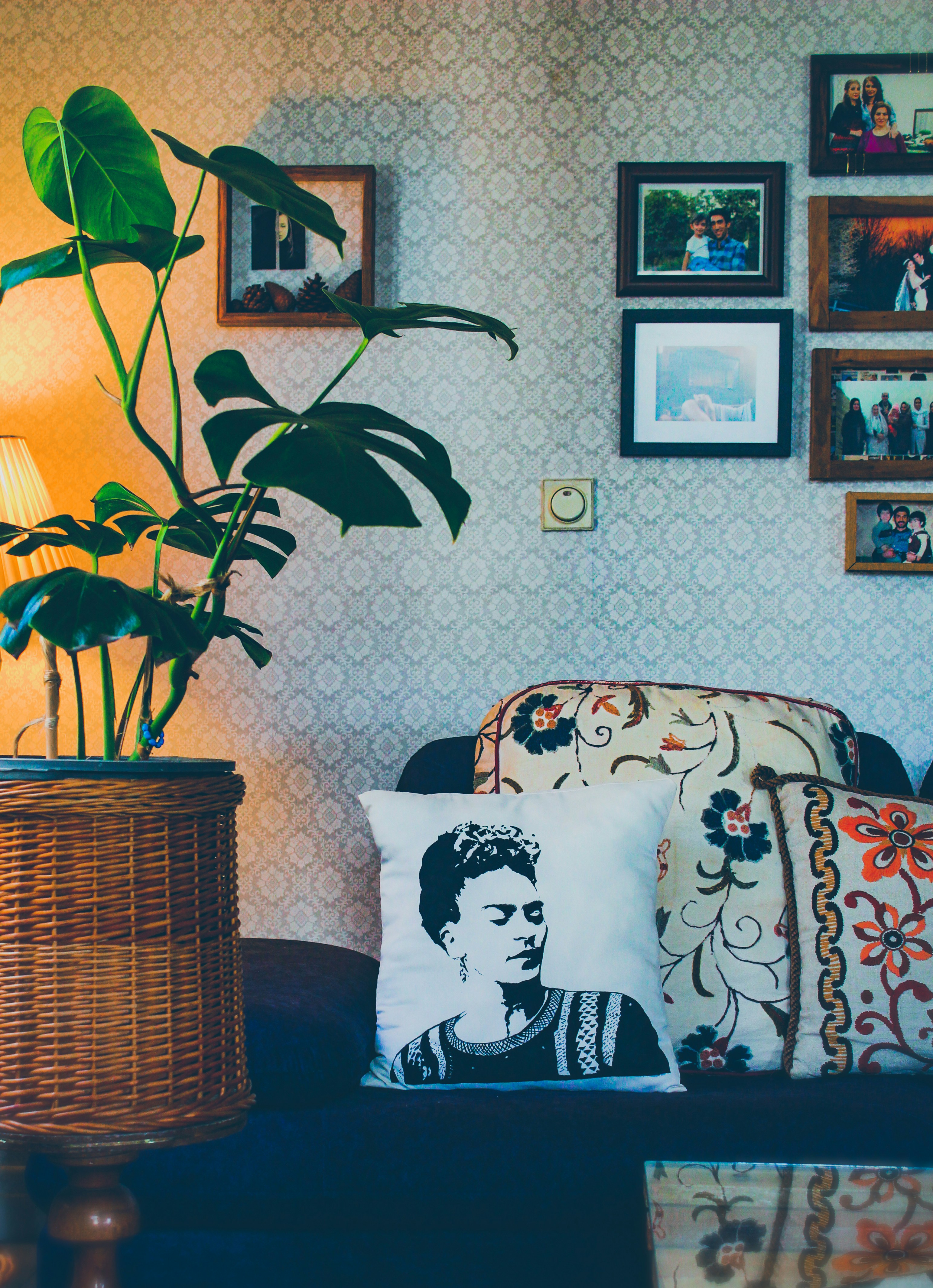 Cozy Corner: Plant, Portraits, and Plush Cushions in Morning Light