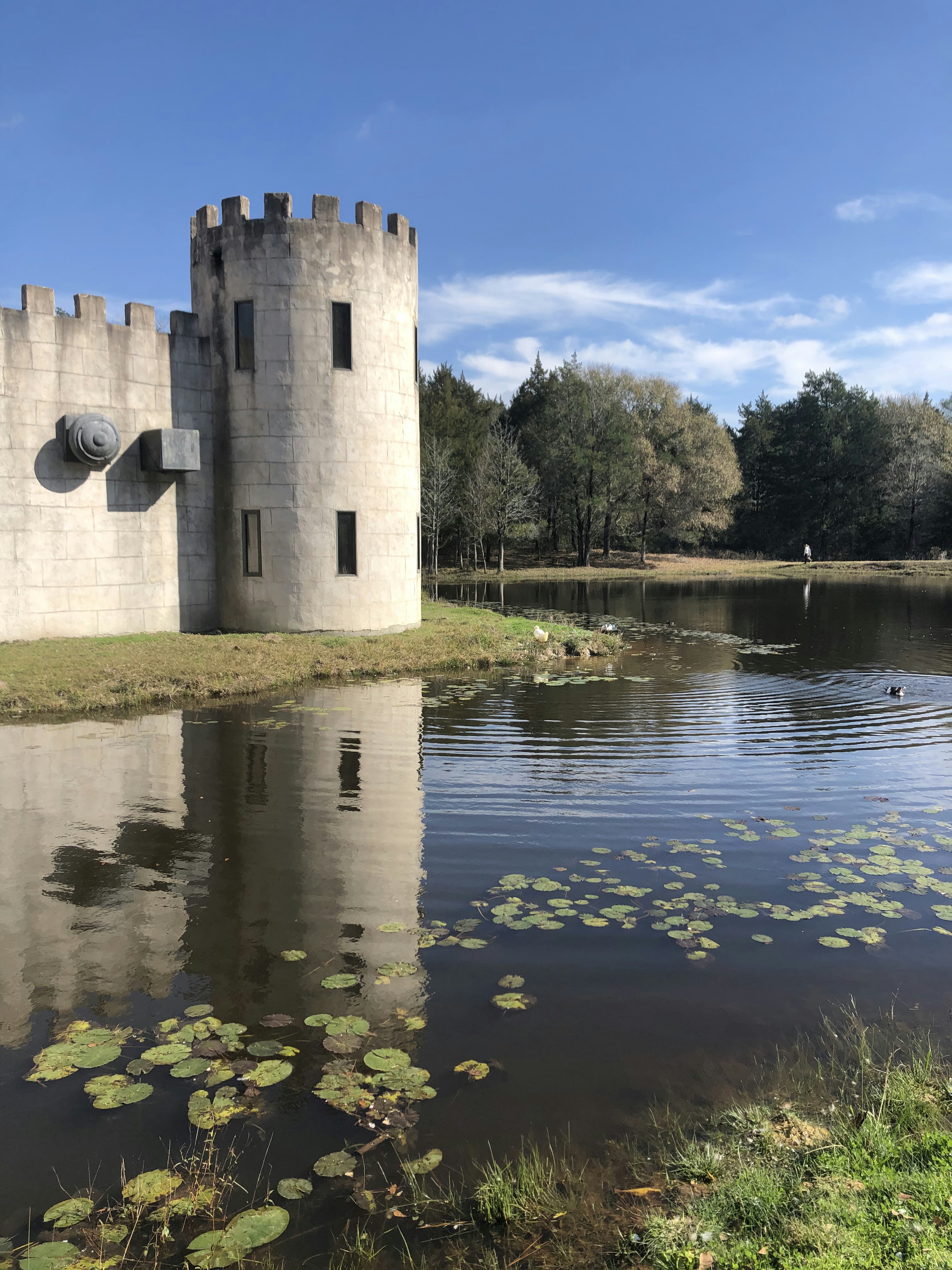 A unique concrete castle stands beside a serene pond, surrounded by lush greenery and lily pads. The tranquil waters reflect the structure and the sky above.