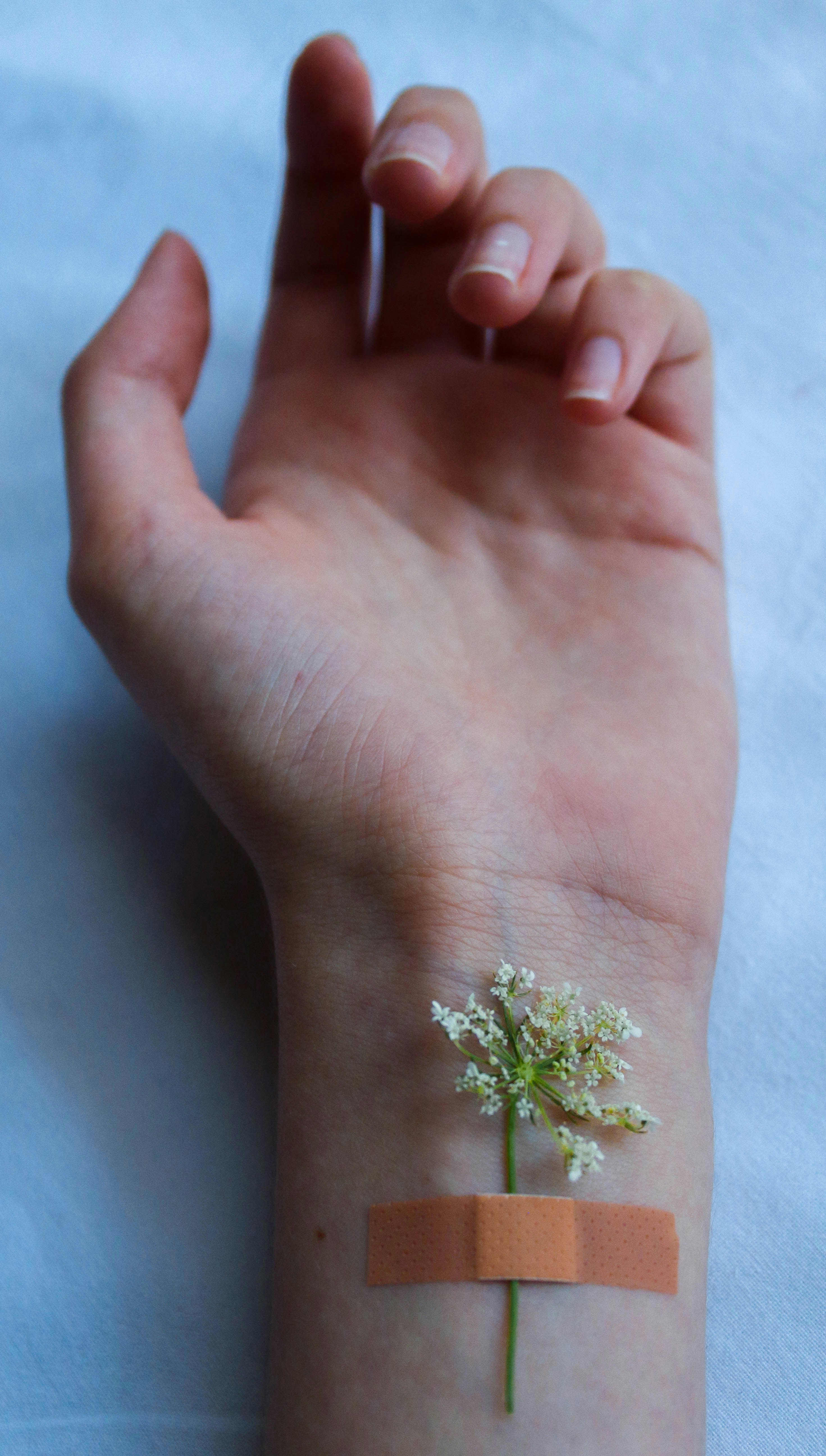 Blooms on Skin: A Delicate Bandage and Flower Portrait
