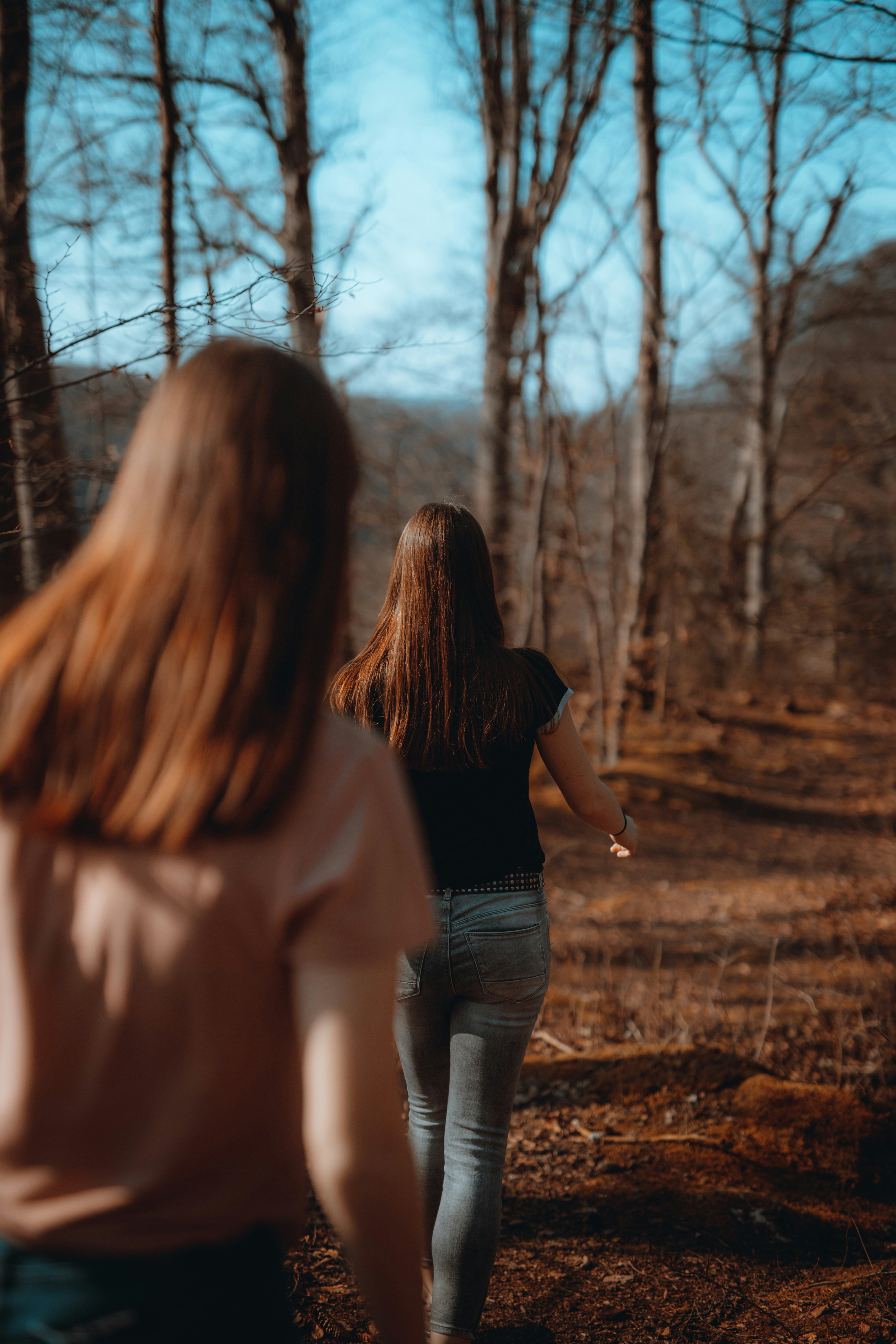 Two individuals walking through a serene forest, surrounded by tall trees and a clear blue sky. The scene captures a moment of exploration and connection with nature.