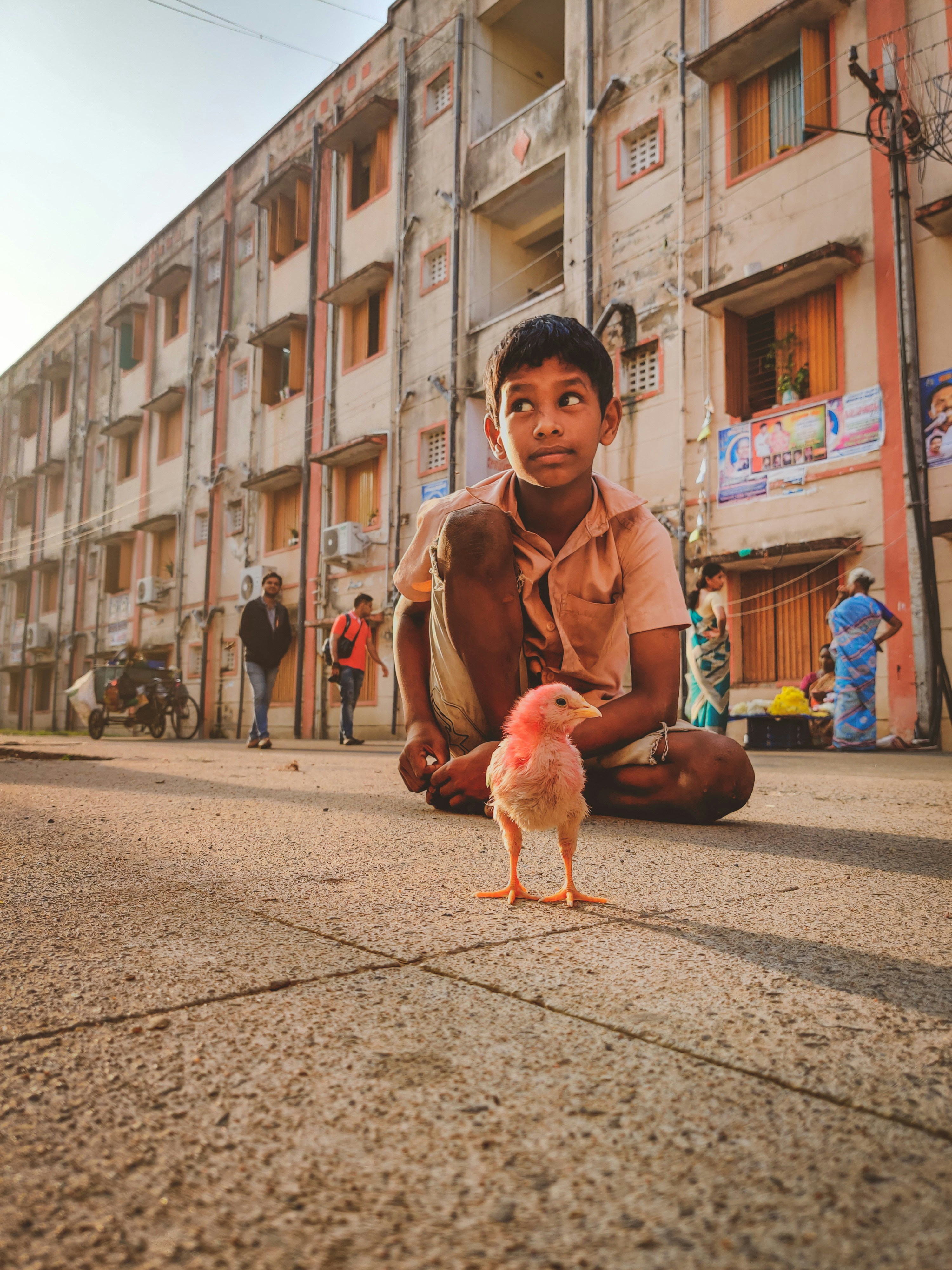 Sunlit Street Encounter: A Boy, a Chick, and a City in Warm Light