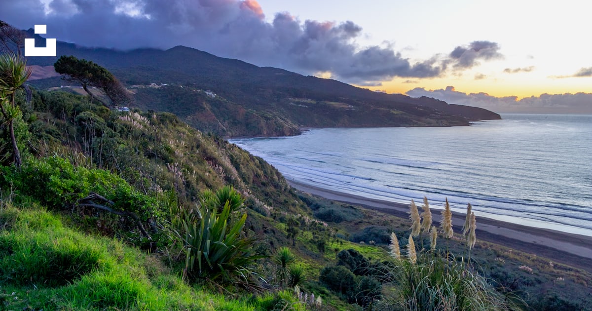 Green Grass Field Near Body Of Water During Daytime Photo Free Beach