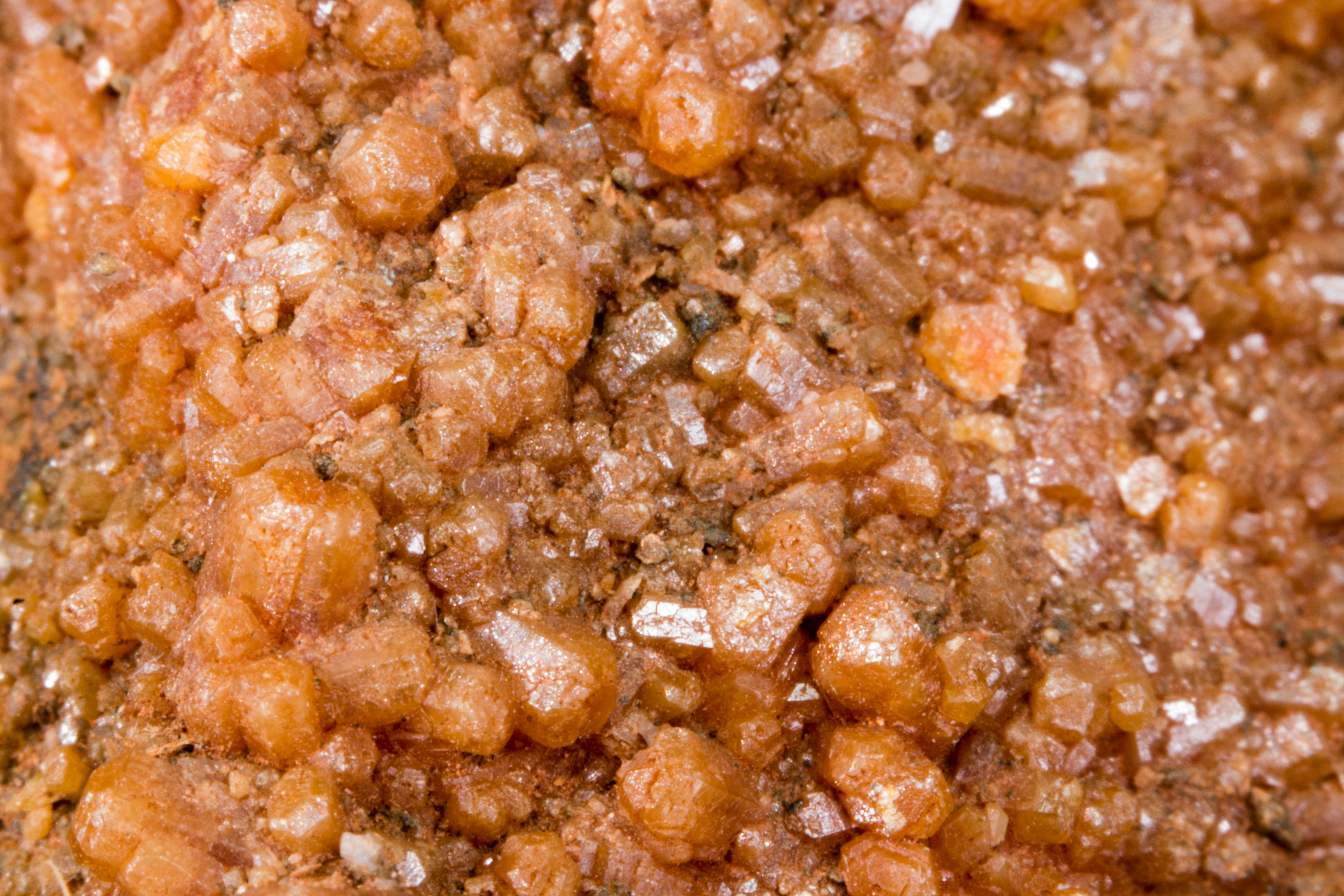 Définition de fayot | Dictionnaire français