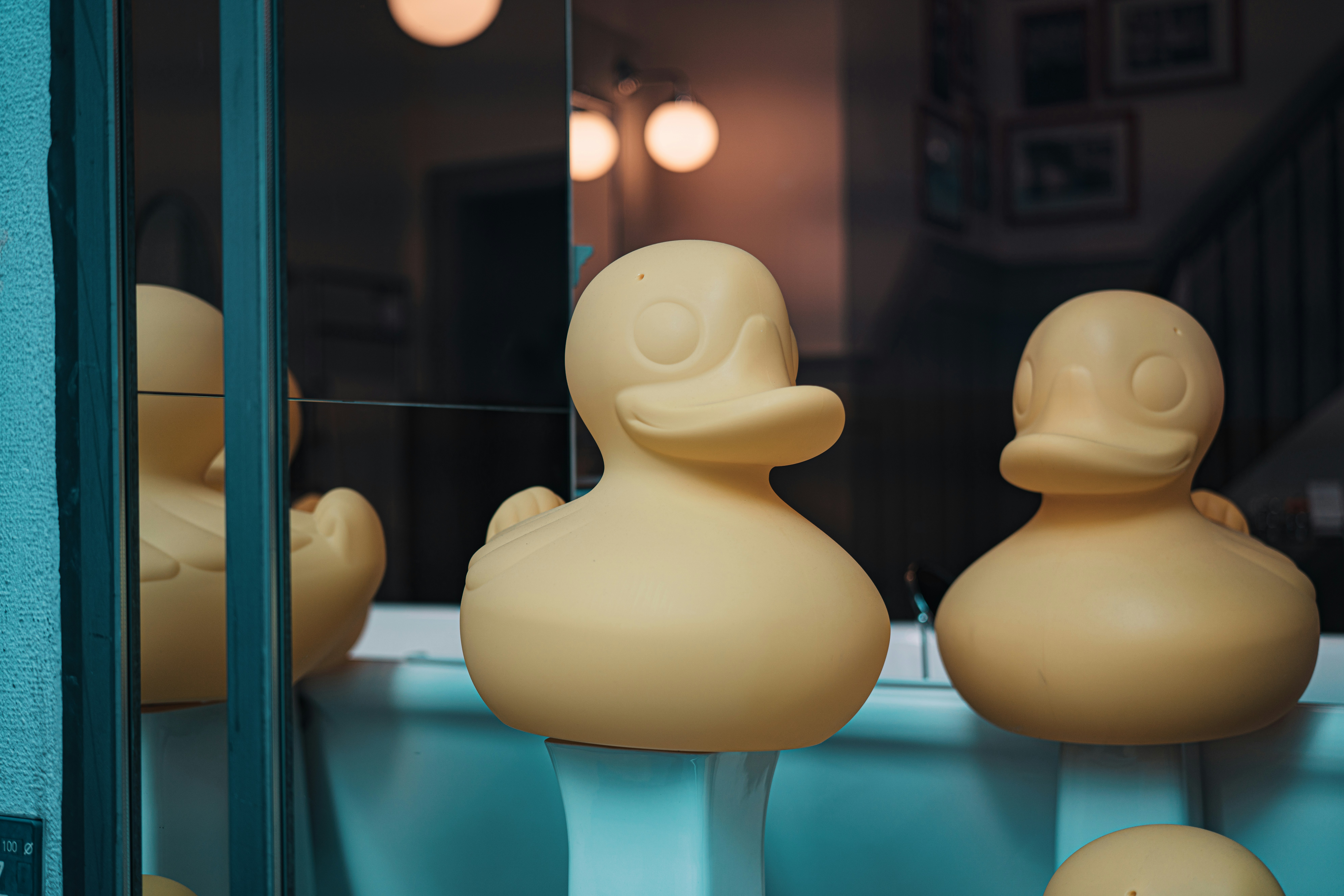 Duckling Reflections: Studio‑Like Showroom with Rubber Ducks