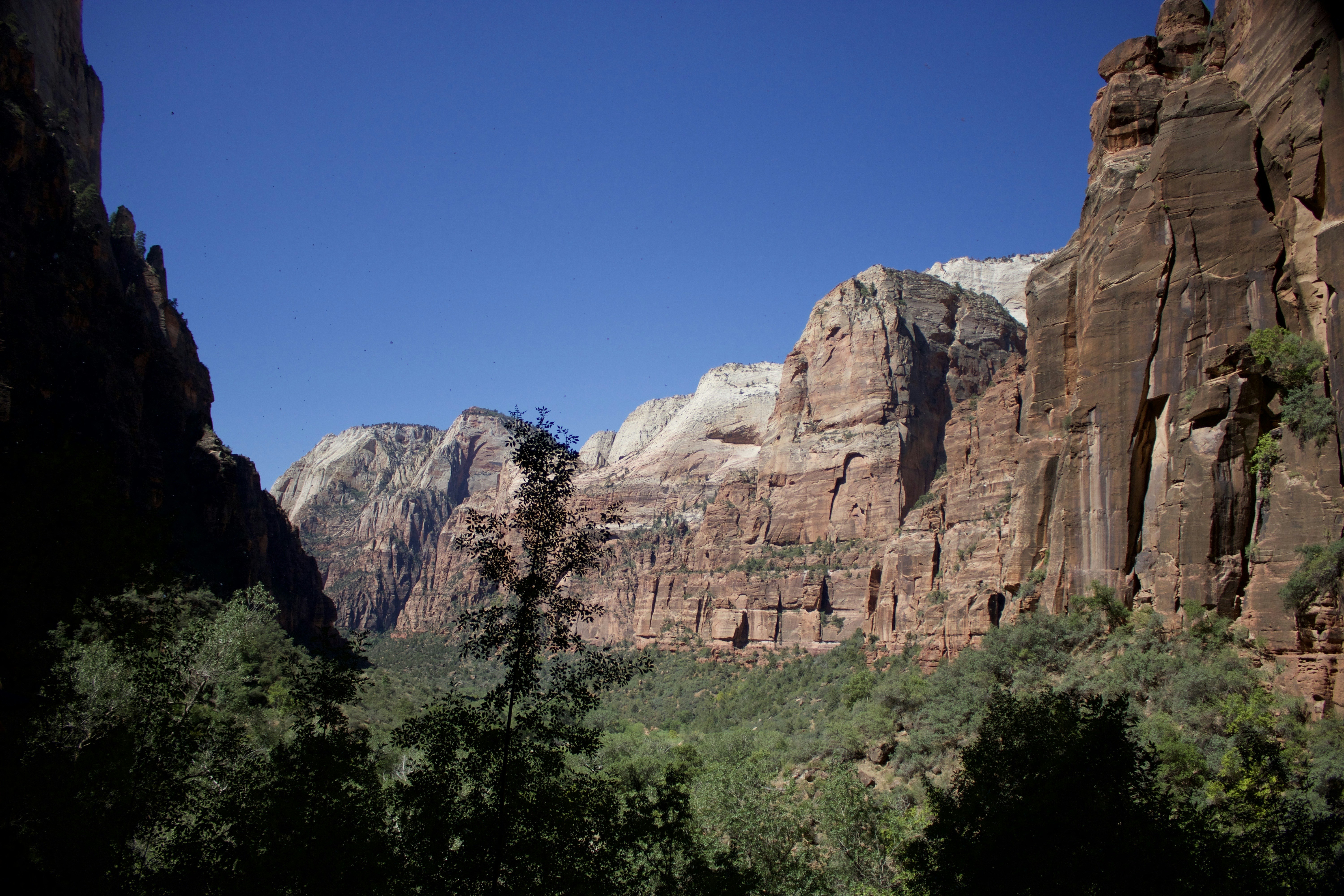 Foto Árvores verdes perto da montanha rochosa marrom durante o dia ...