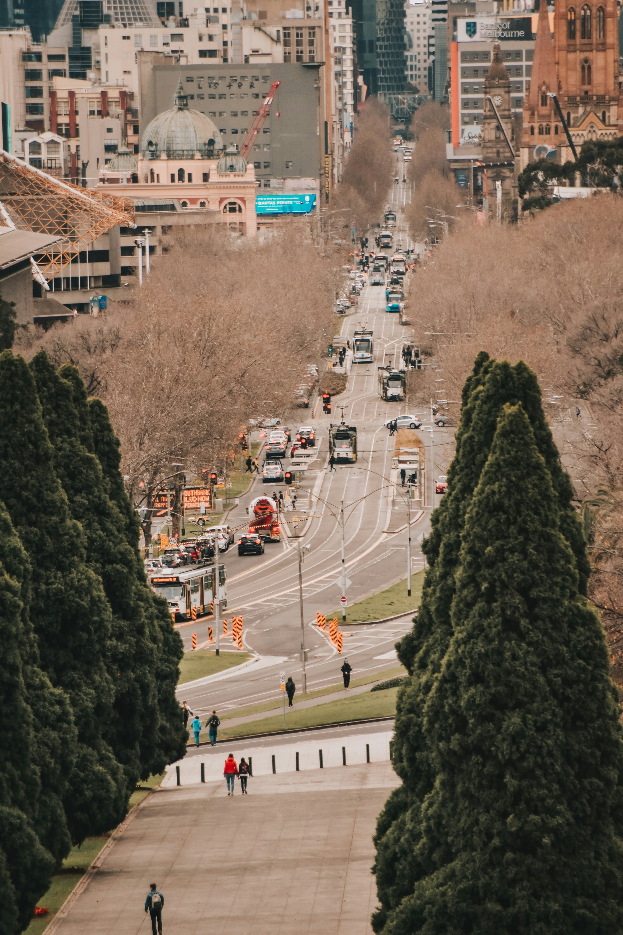 Arterial Corridor: Tree-Framed Boulevard Receding Toward the City